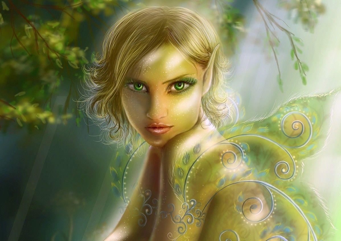 Wood Elf Wallpapers - Top Free Wood Elf Backgrounds - WallpaperAccess