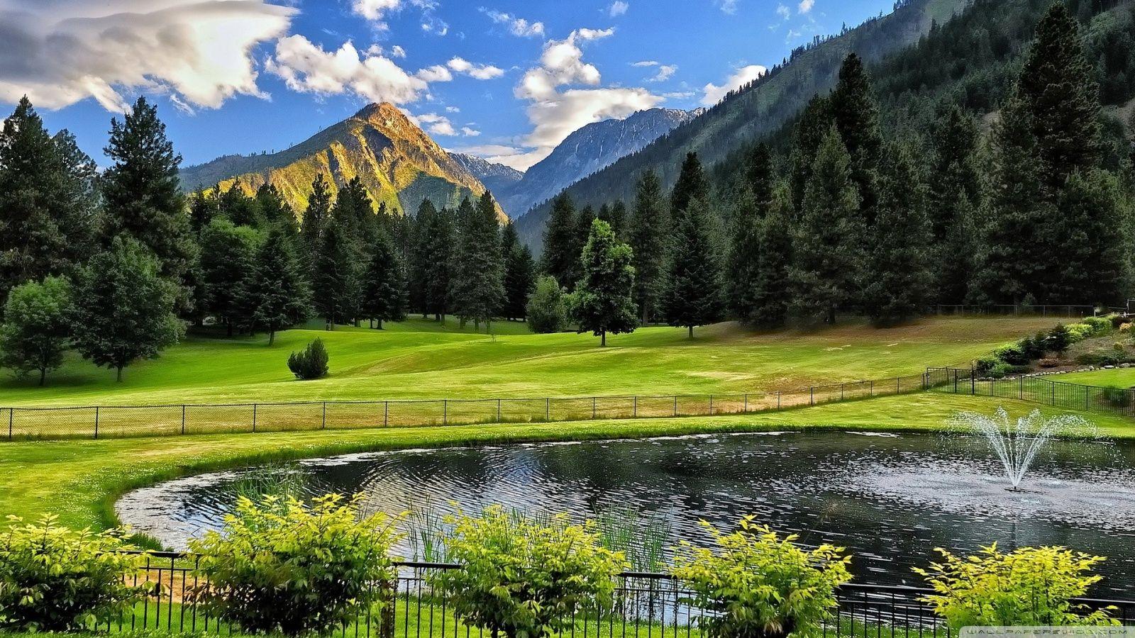 Pond Wallpapers - Top Free Pond Backgrounds - WallpaperAccess