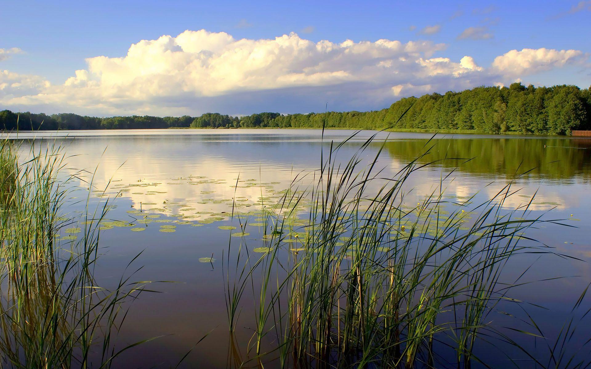 Pond Wallpapers - Top Free Pond Backgrounds - WallpaperAccess