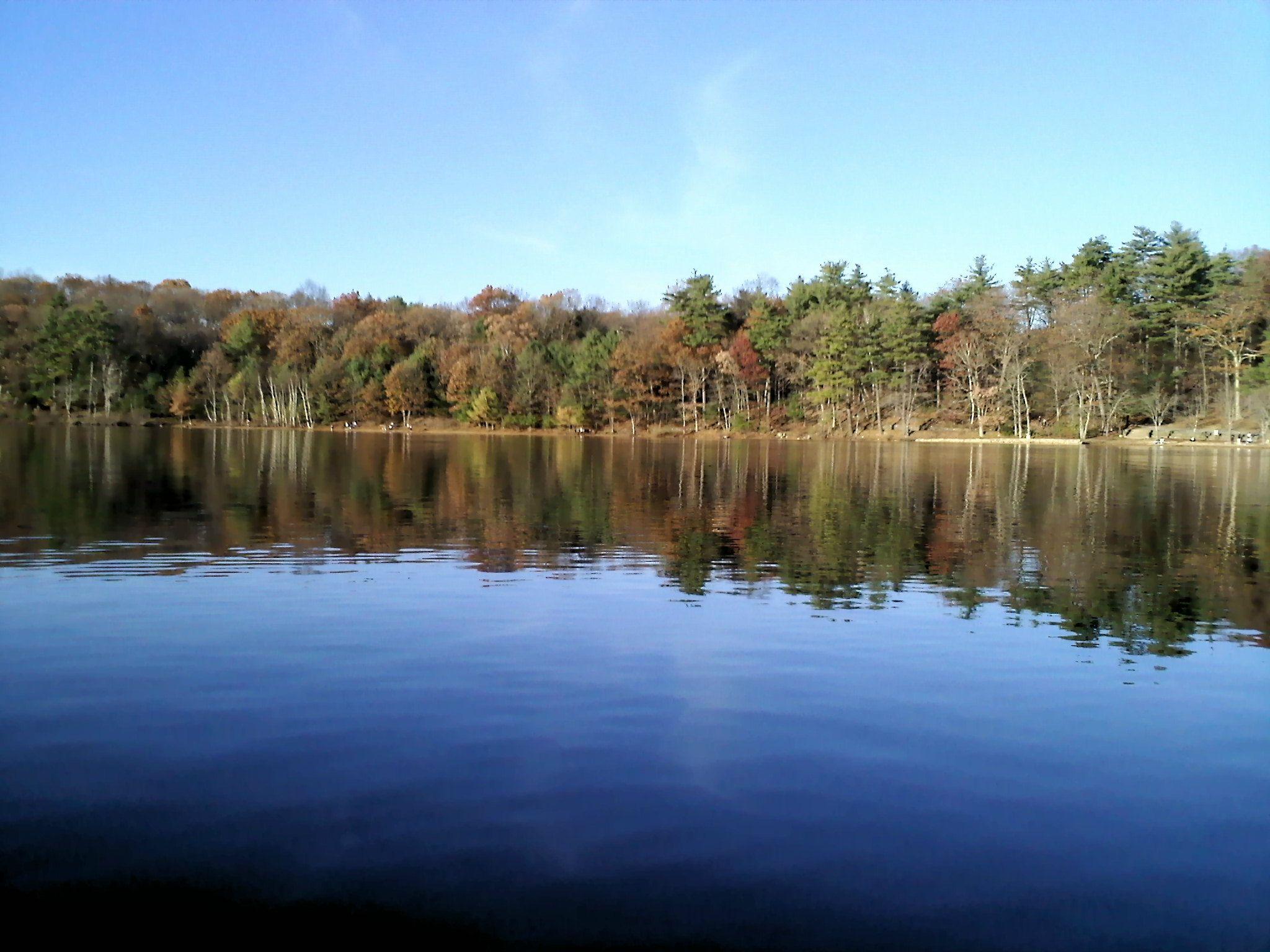 Pond Wallpapers - Top Free Pond Backgrounds - WallpaperAccess