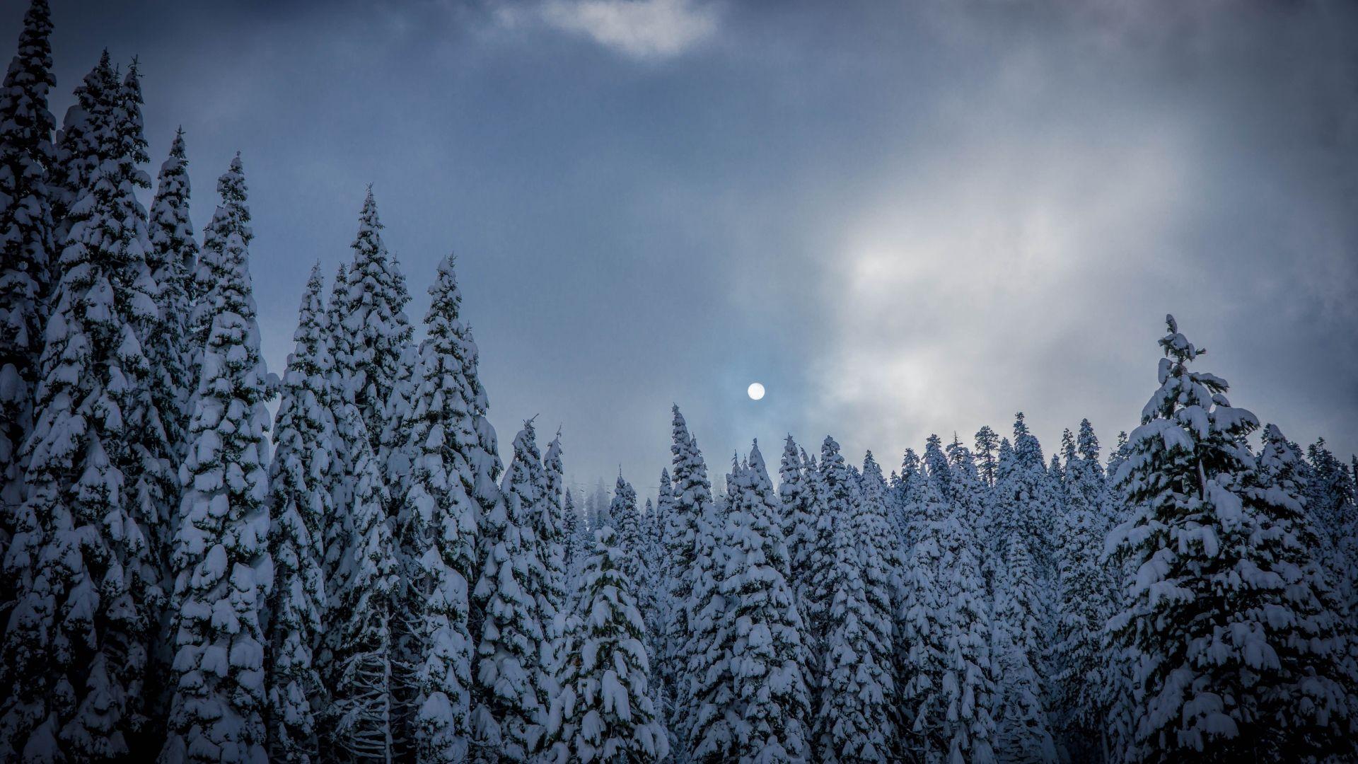 Snow 1920x1080 Wallpapers - Top Free Snow 1920x1080 Backgrounds ...