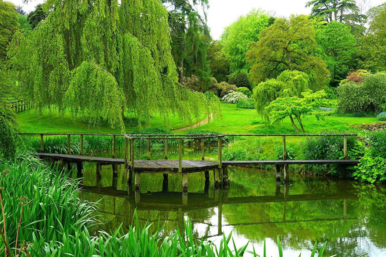 Pond Wallpapers - Top Free Pond Backgrounds - WallpaperAccess