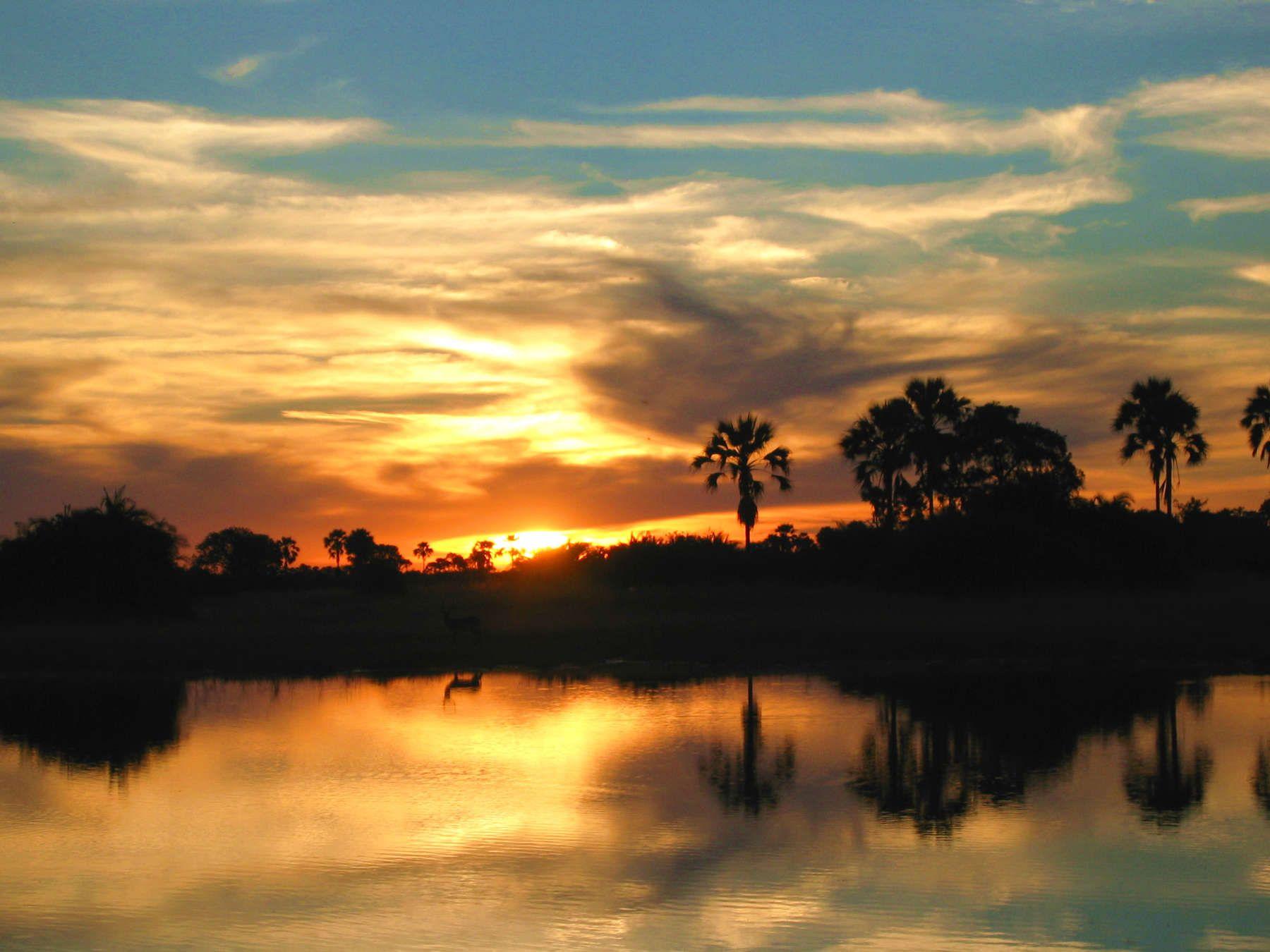 African Safari Desktop Wallpapers - Top Free African Safari Desktop ...