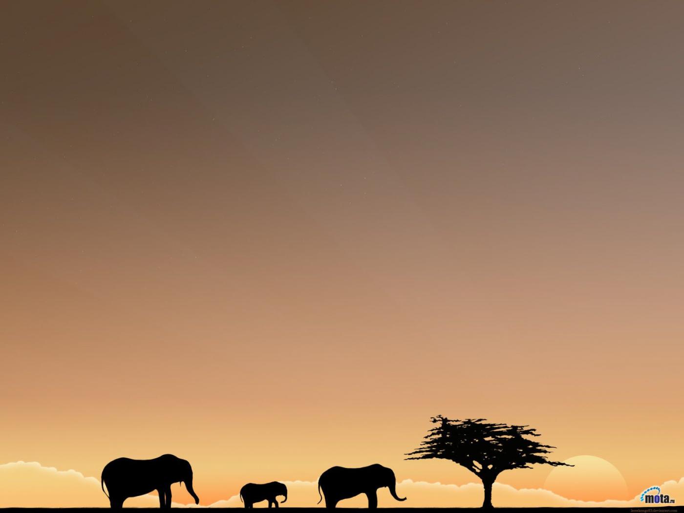 African Safari Desktop Wallpapers - Top Free African Safari Desktop ...