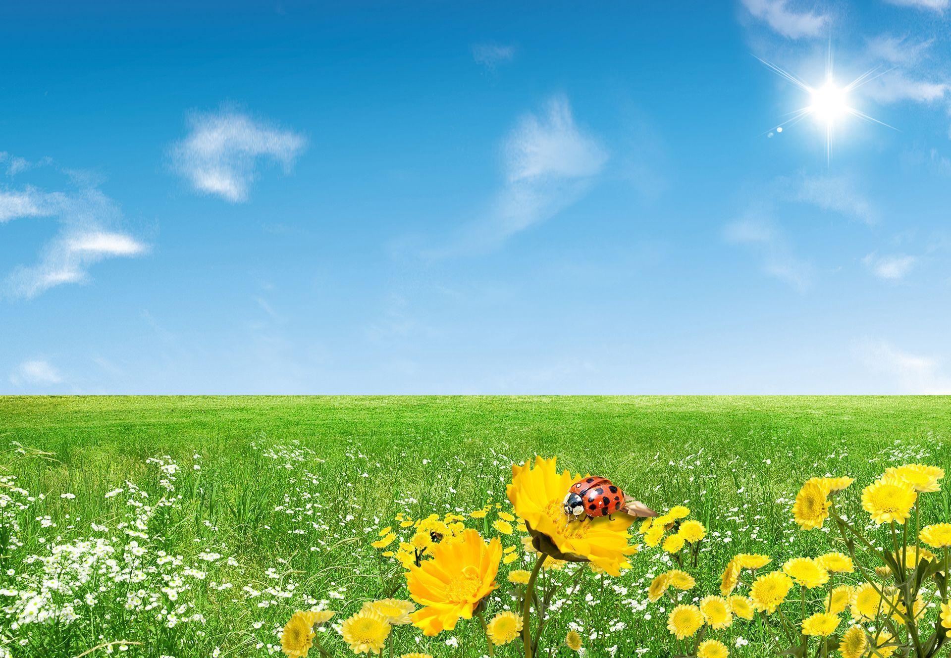 Cartoon Spring Desktop Wallpapers - Top Free Cartoon Spring Desktop ...
