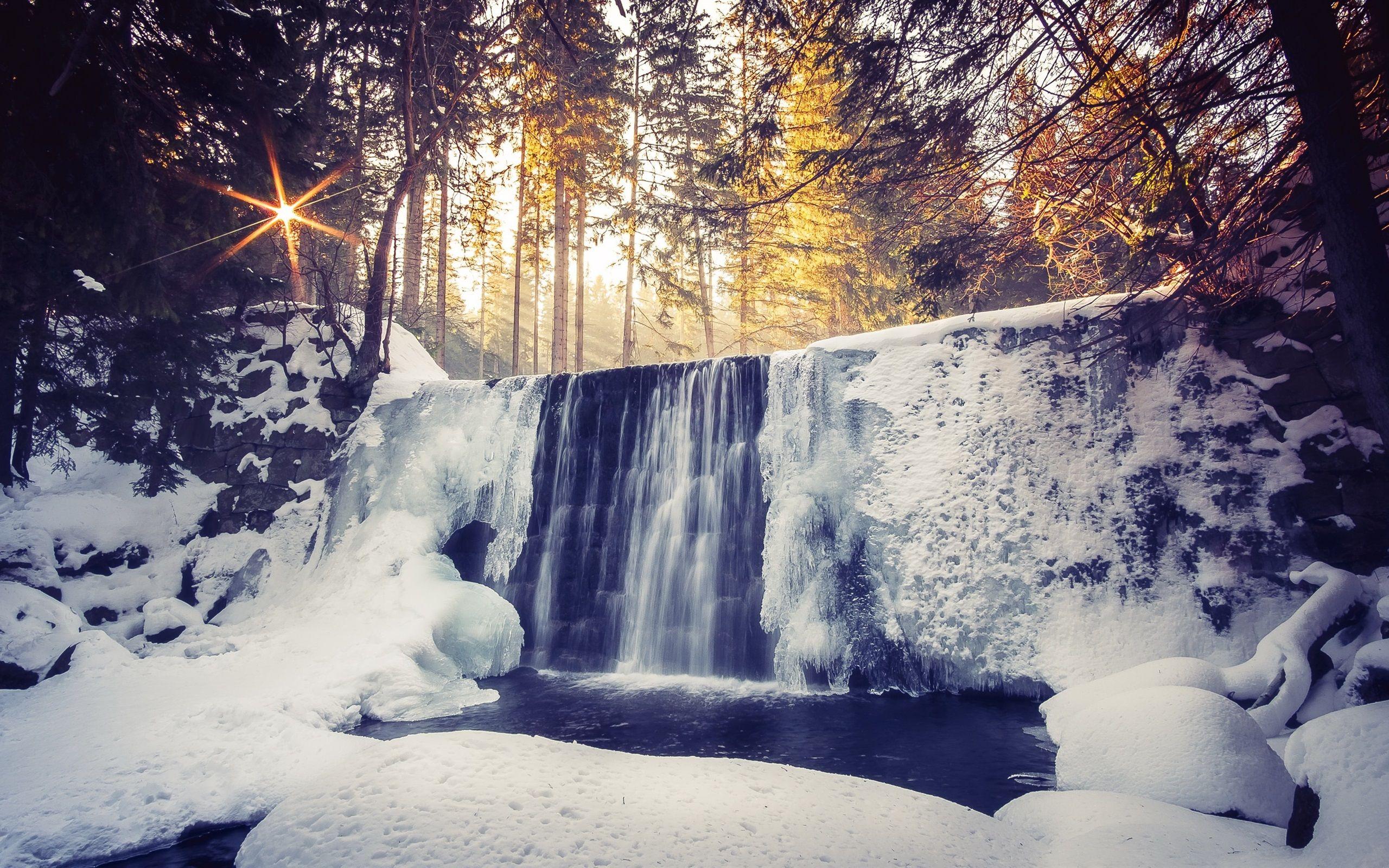 Snow Forest Sunrise Wallpapers - Top Free Snow Forest Sunrise ...
