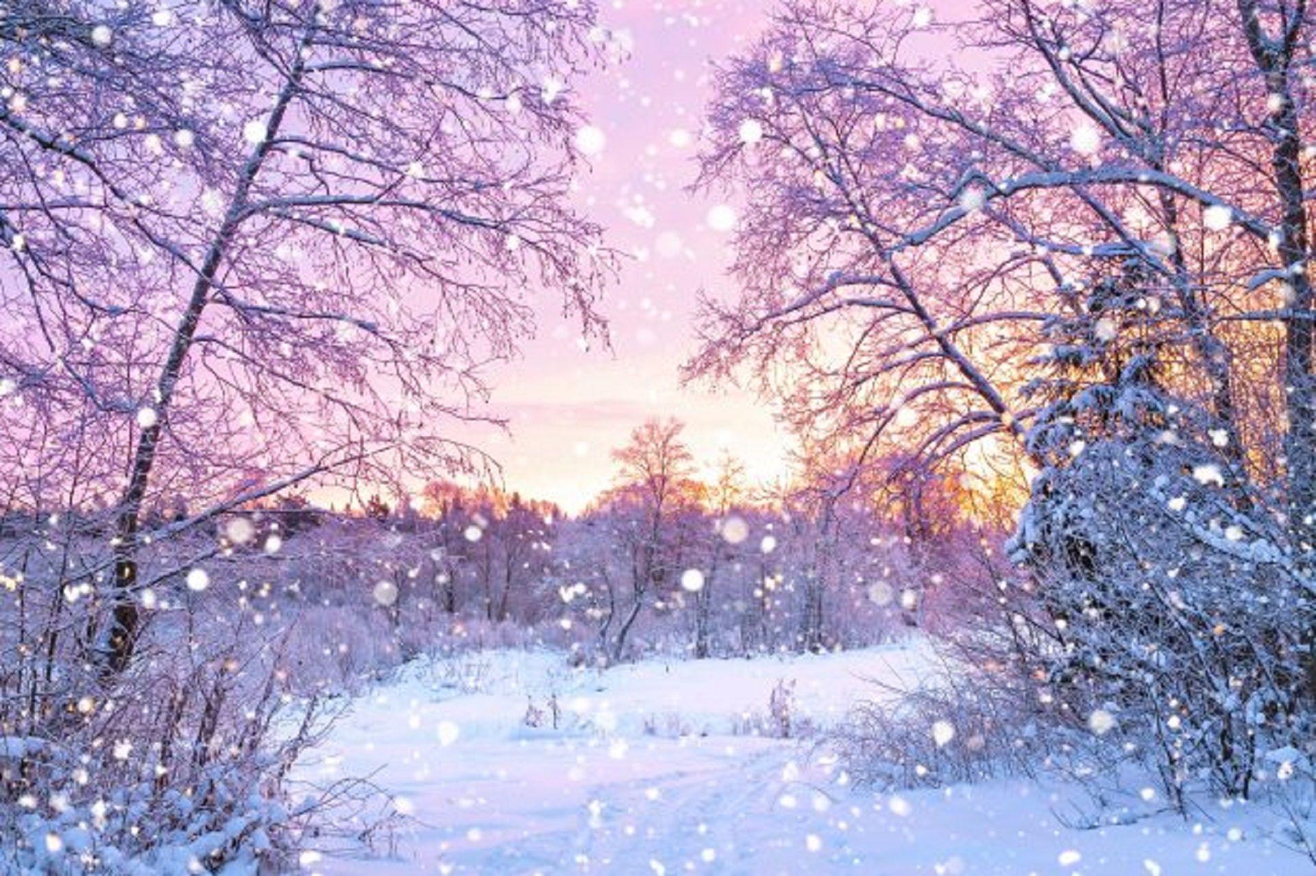 Snow Forest Sunrise Wallpapers - Top Free Snow Forest Sunrise ...