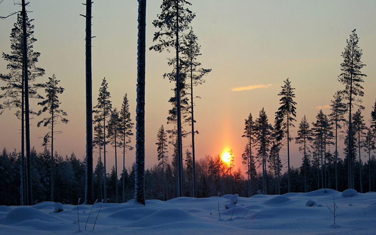 Snow Forest Sunrise Wallpapers - Top Free Snow Forest Sunrise ...