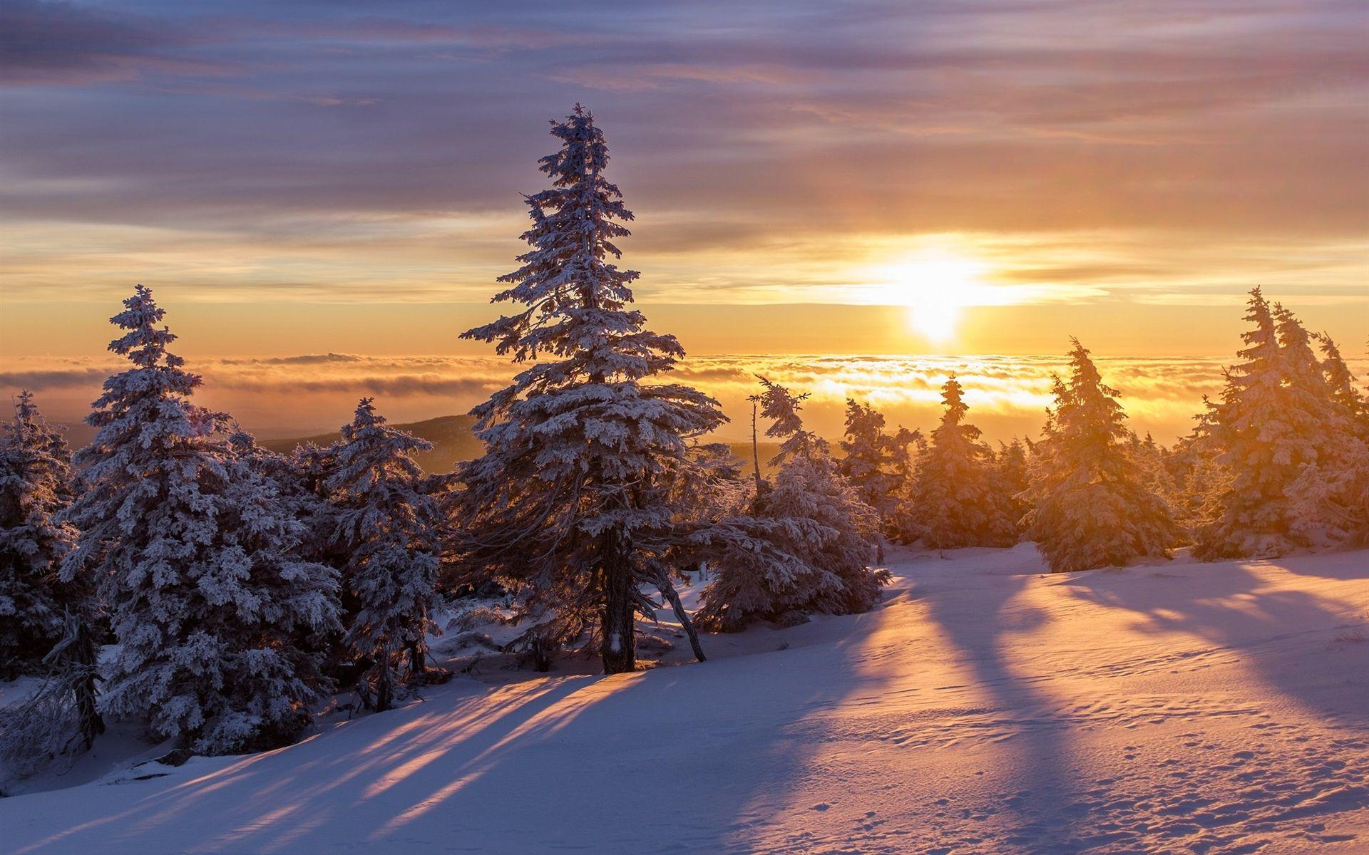 Snow Forest Sunrise Wallpapers - Top Free Snow Forest Sunrise ...