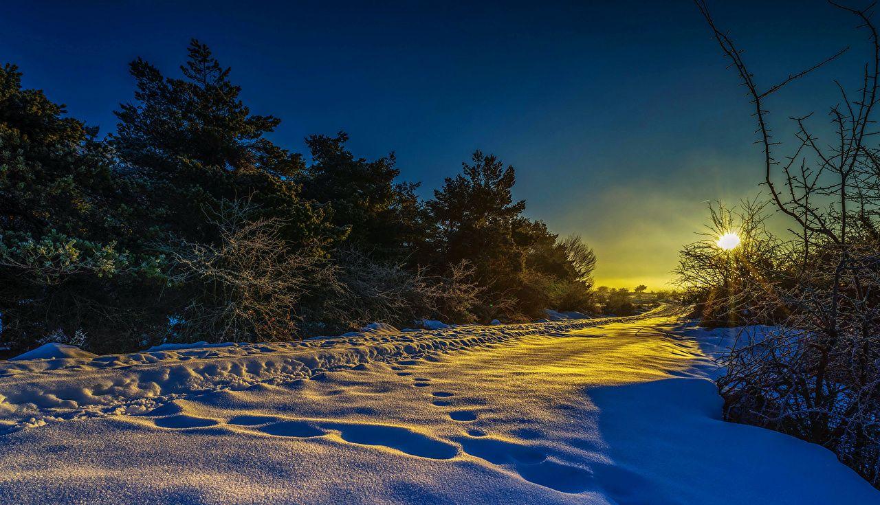 Snow Forest Sunrise Wallpapers - Top Free Snow Forest Sunrise ...
