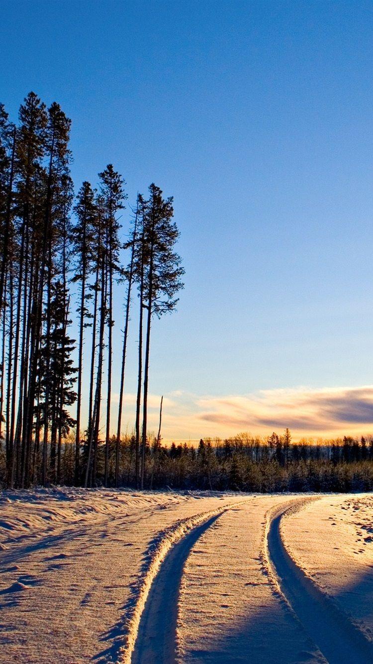 Snow Forest Sunrise Wallpapers - Top Free Snow Forest Sunrise ...