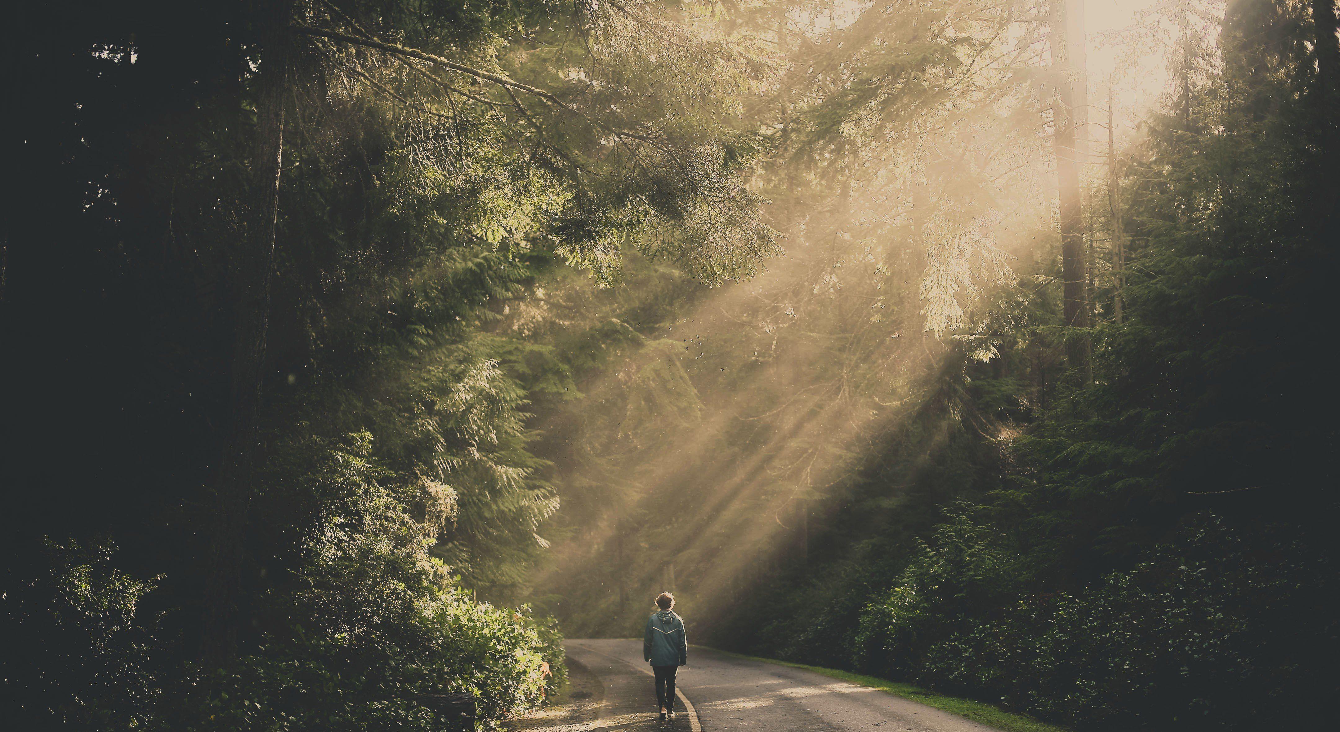 Faded Wallpapers - Top Free Faded Backgrounds - WallpaperAccess