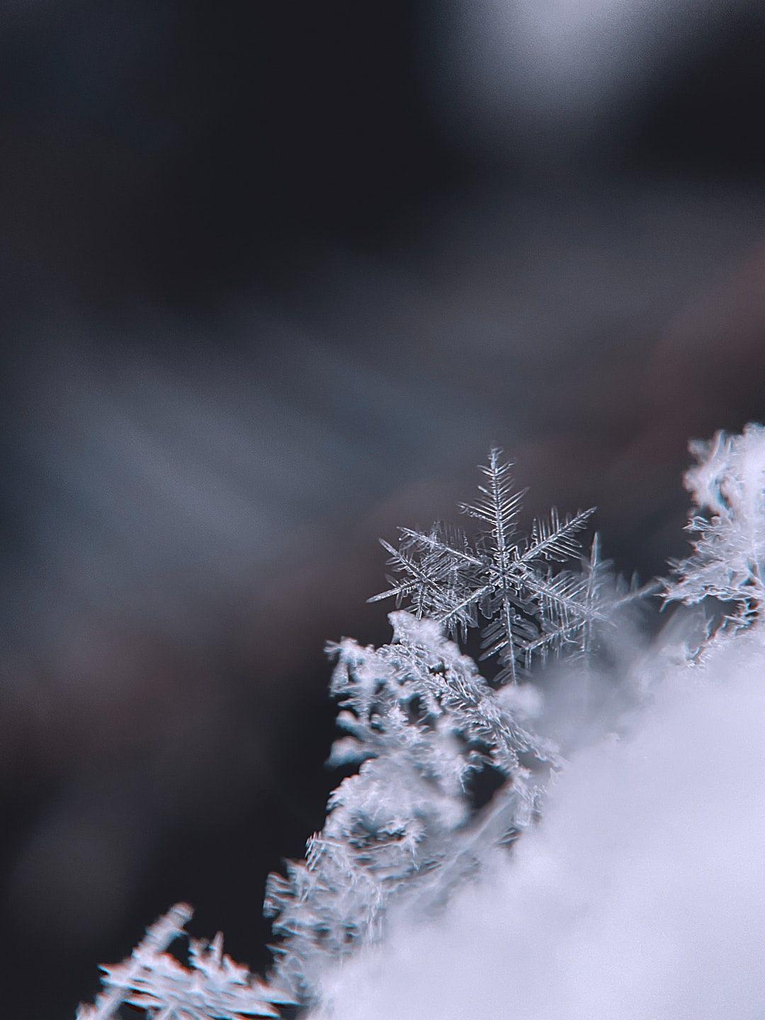 Hd Snowflake Wallpapers - Top Free Hd Snowflake Backgrounds 