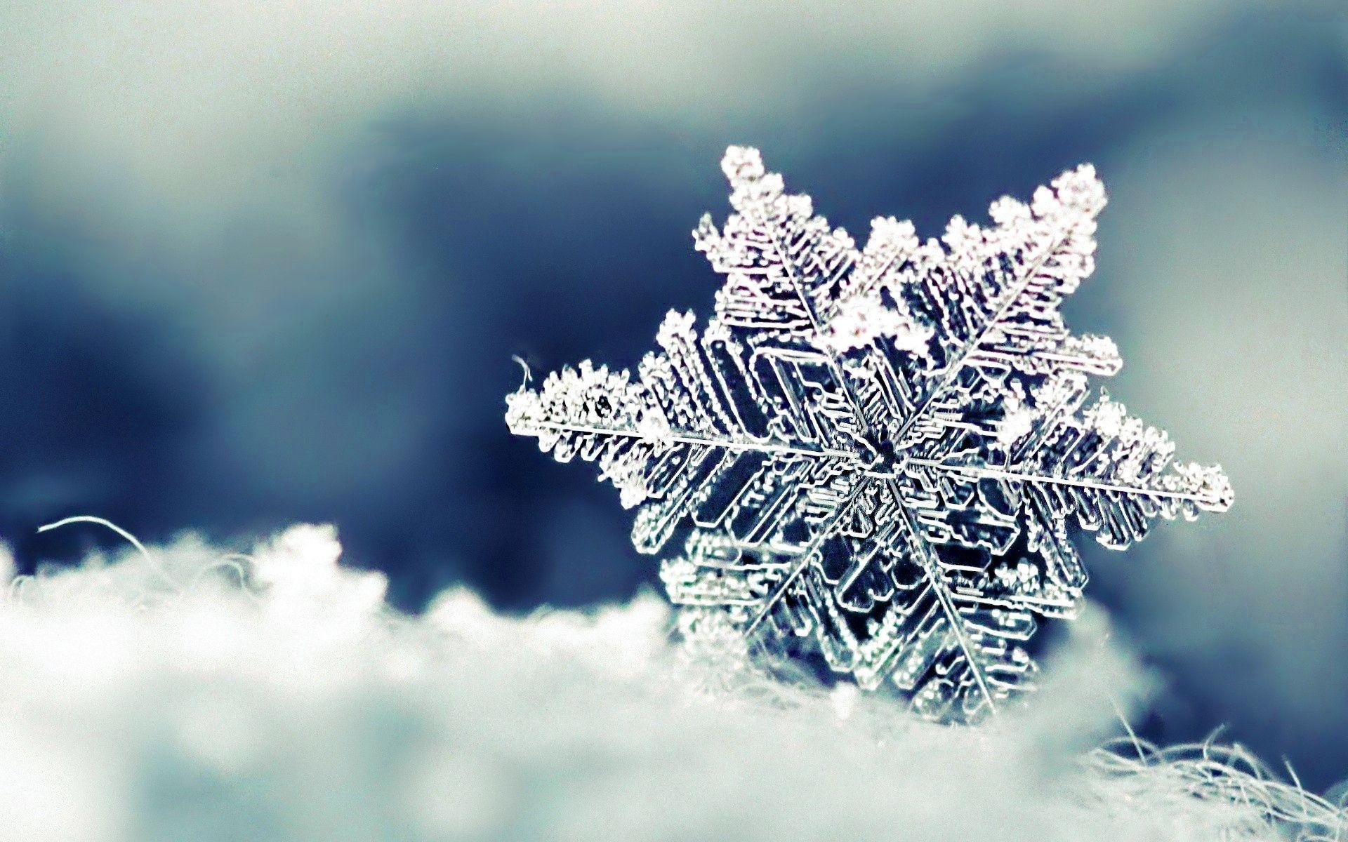 HD Snowflake Wallpapers - Top Free HD Snowflake Backgrounds ...