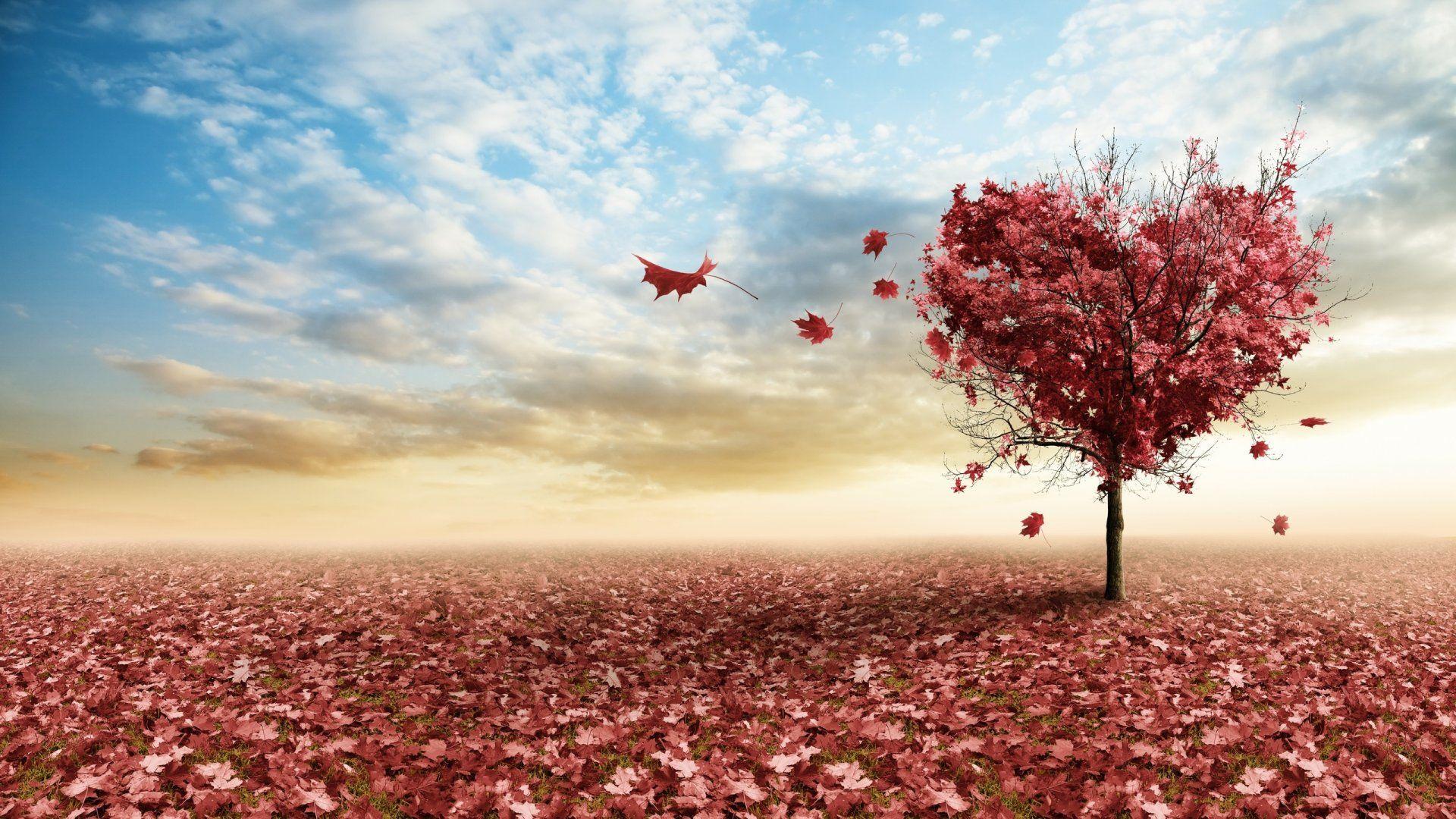 Heart Tree Desktop Wallpapers - Top Free Heart Tree Desktop Backgrounds ...
