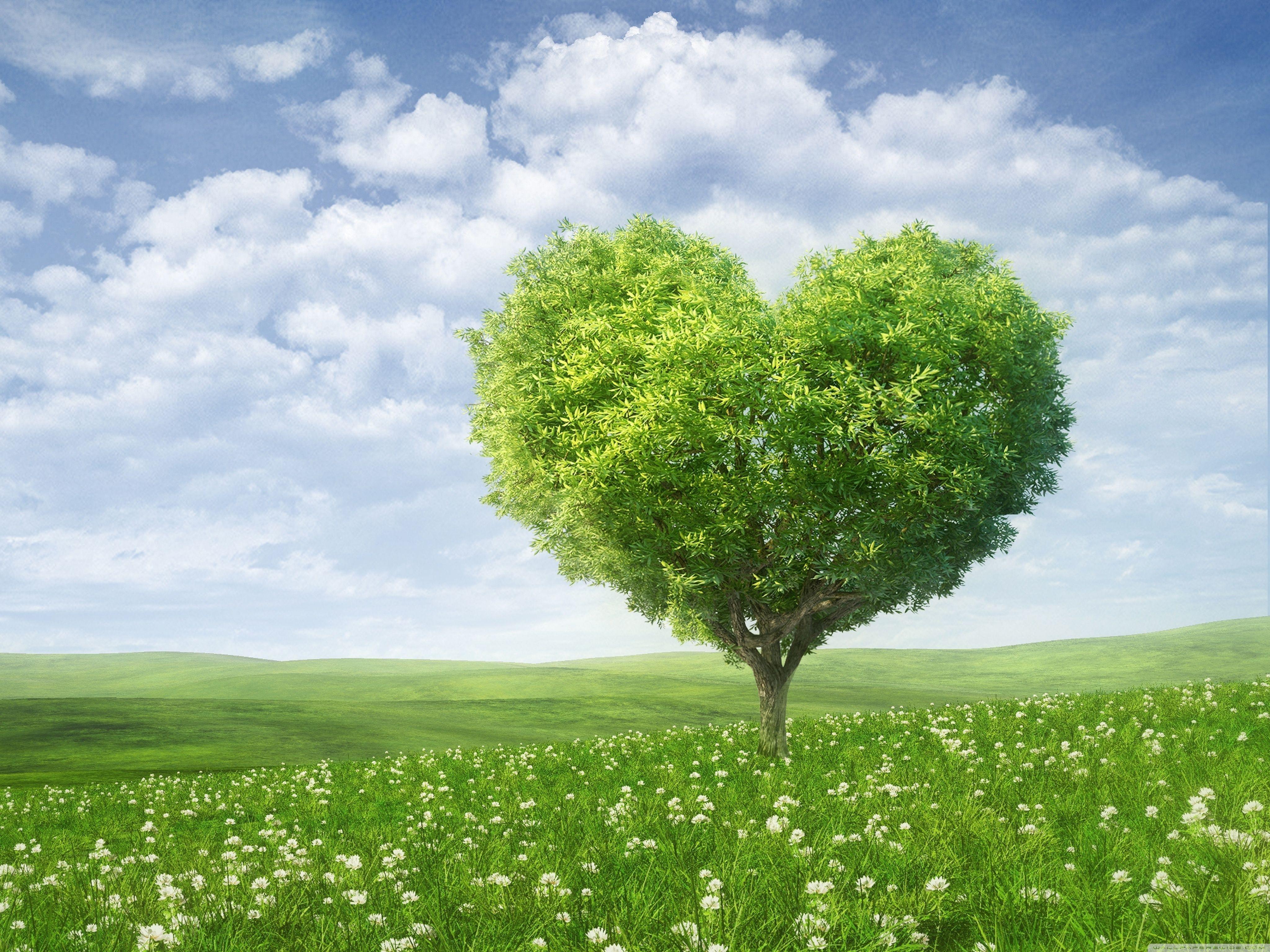 Heart Tree Desktop Wallpapers - Top Free Heart Tree Desktop Backgrounds ...