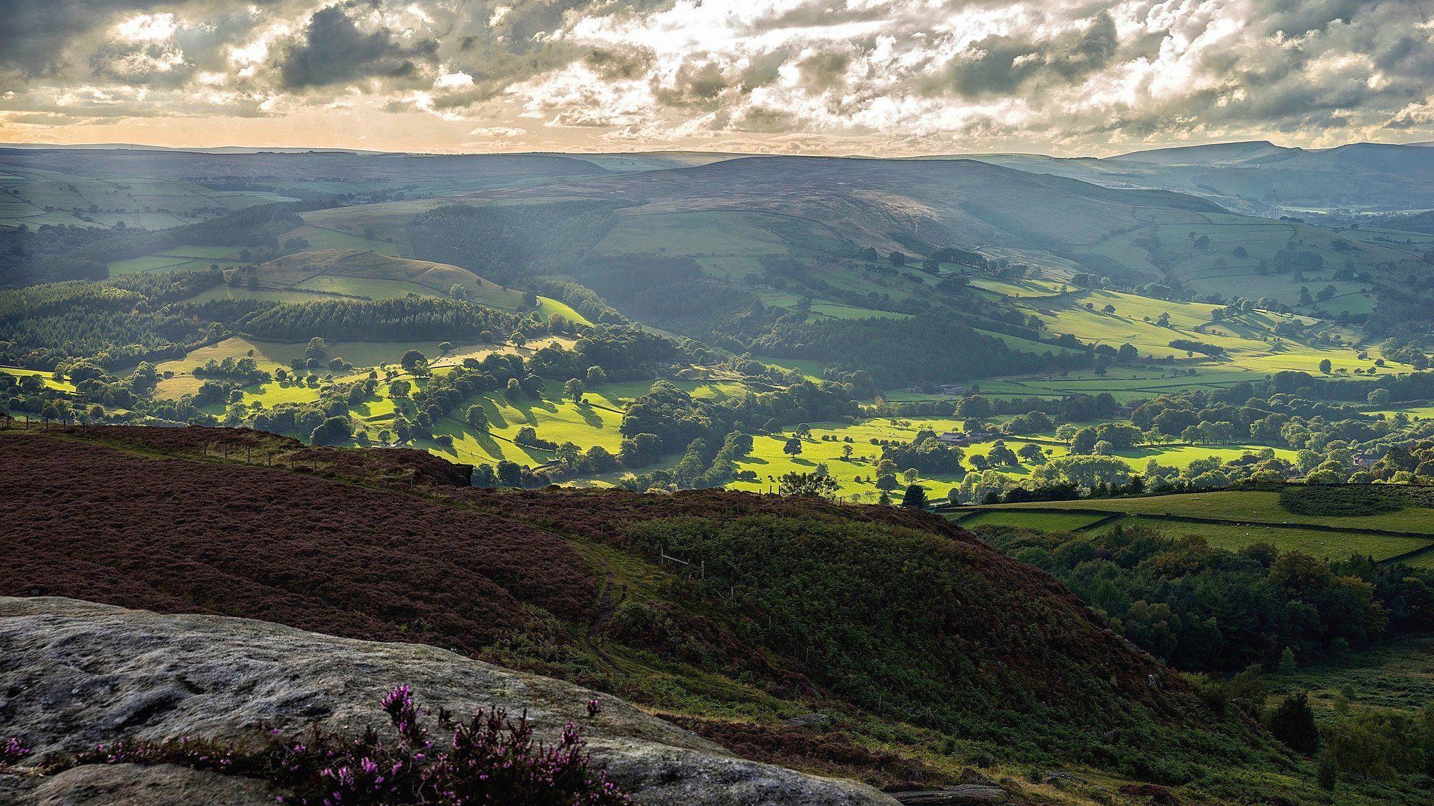 Purchase Wallpapers - Top Free Purchase Backgrounds - WallpaperAccess