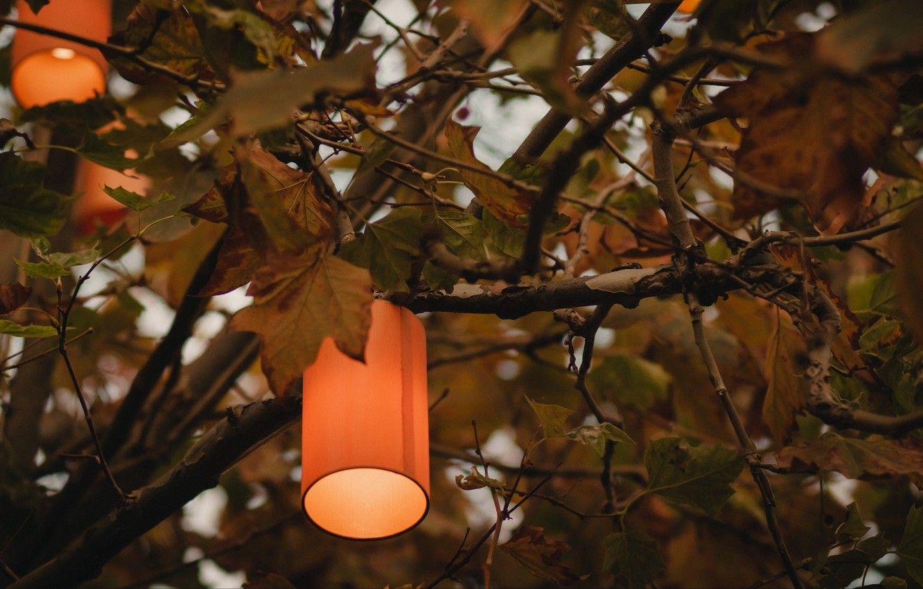Fall Lights Wallpapers - Top Free Fall Lights Backgrounds - WallpaperAccess