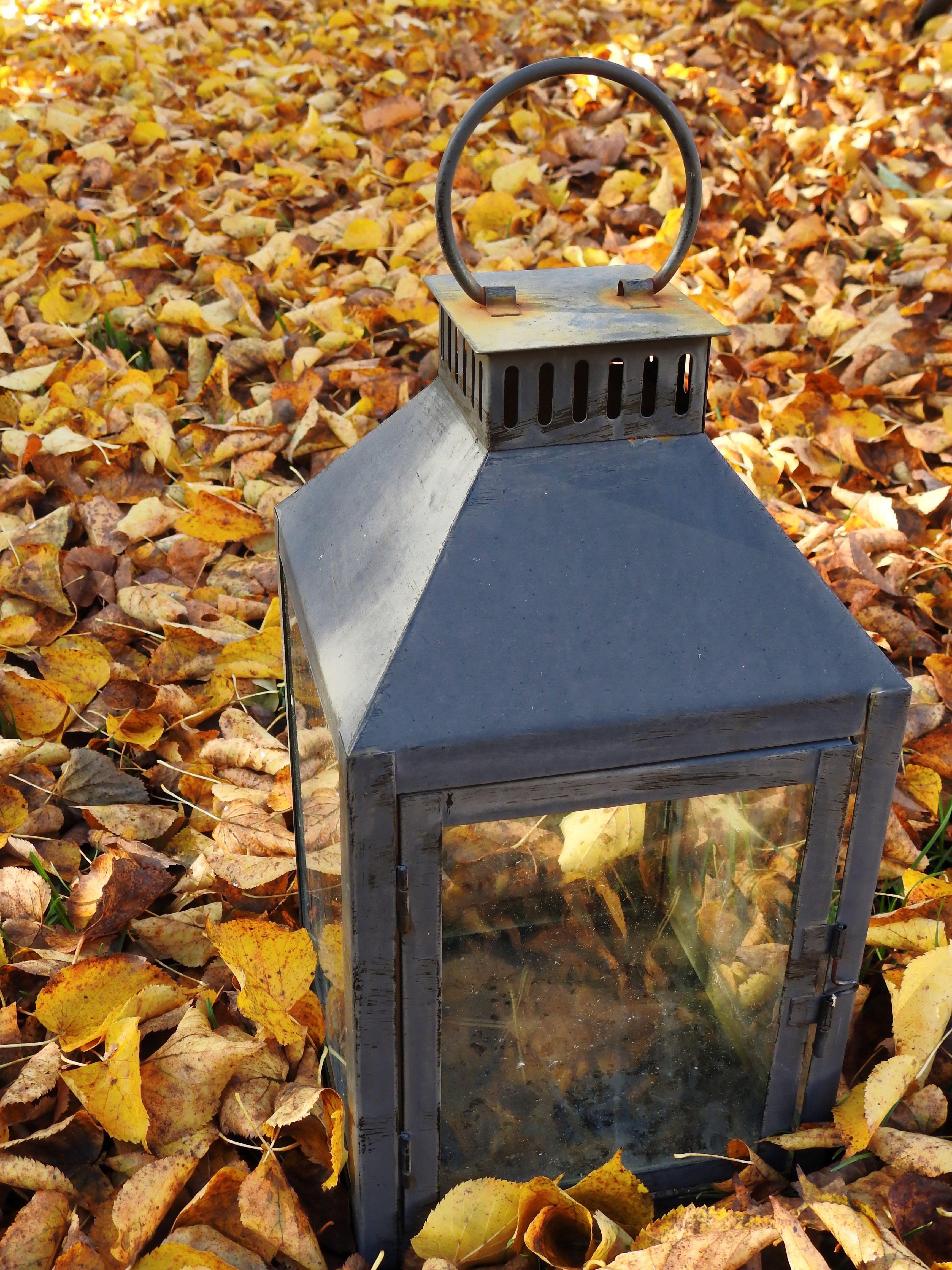 Autumn Lantern Wallpapers - Top Free Autumn Lantern Backgrounds ...
