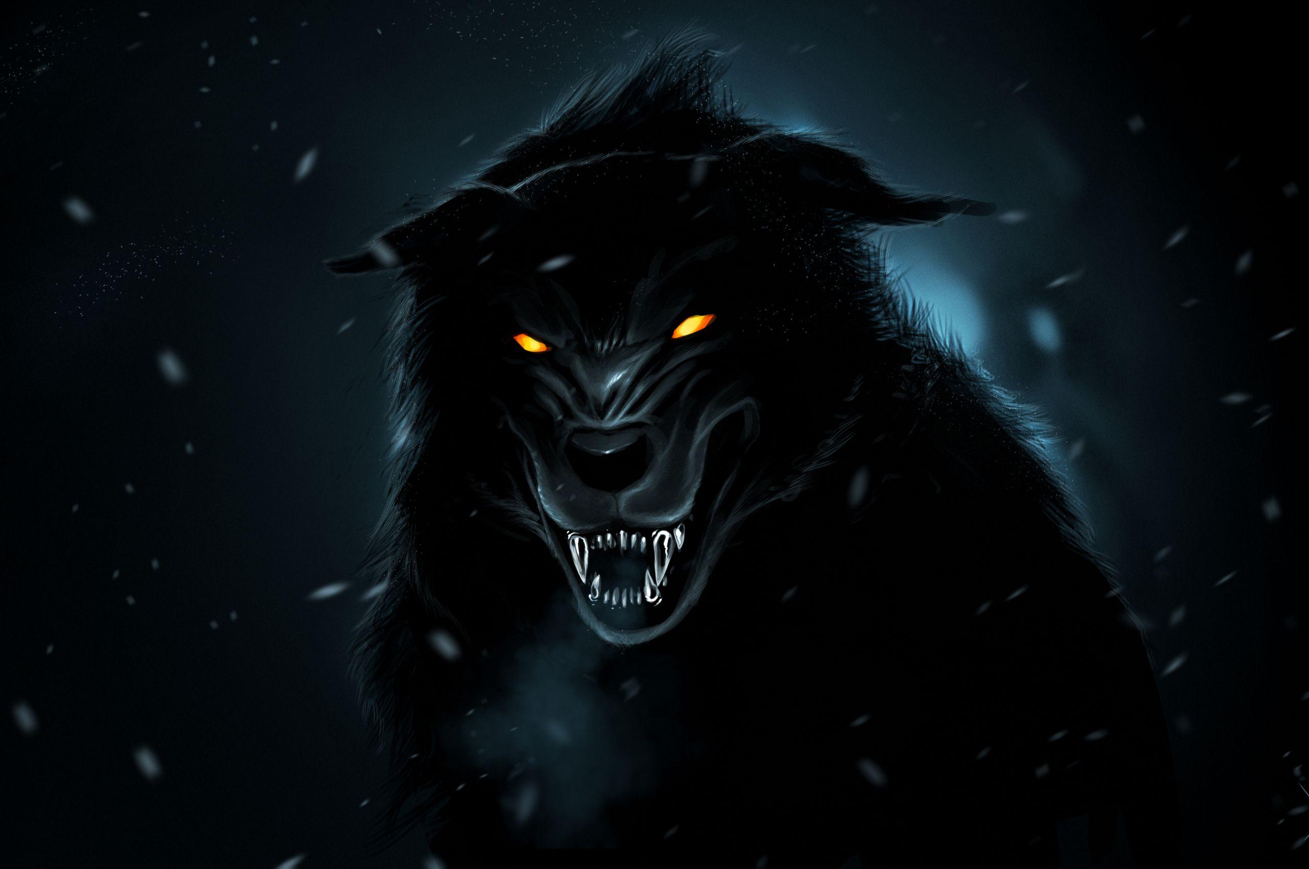 Dark Forest Wolf Wallpapers - Top Free Dark Forest Wolf Backgrounds ...