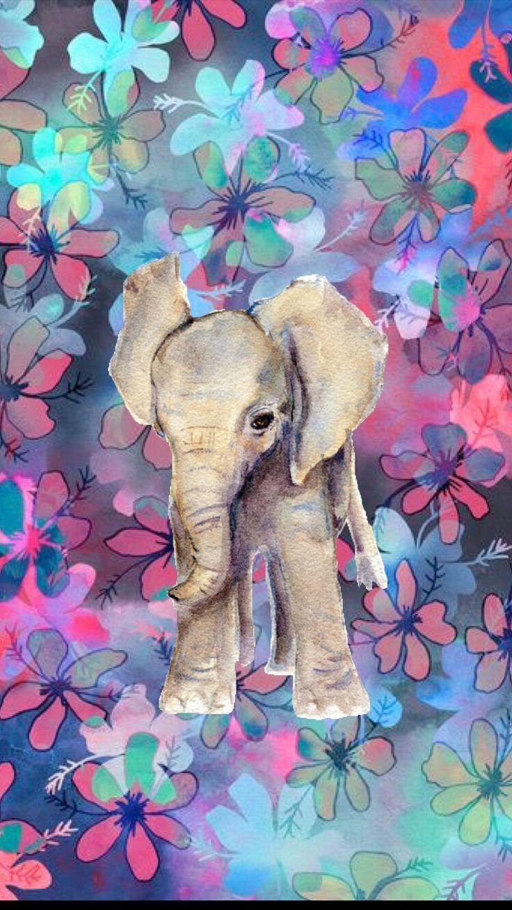 Lucky Elephant Wallpapers - Top Free Lucky Elephant Backgrounds ...