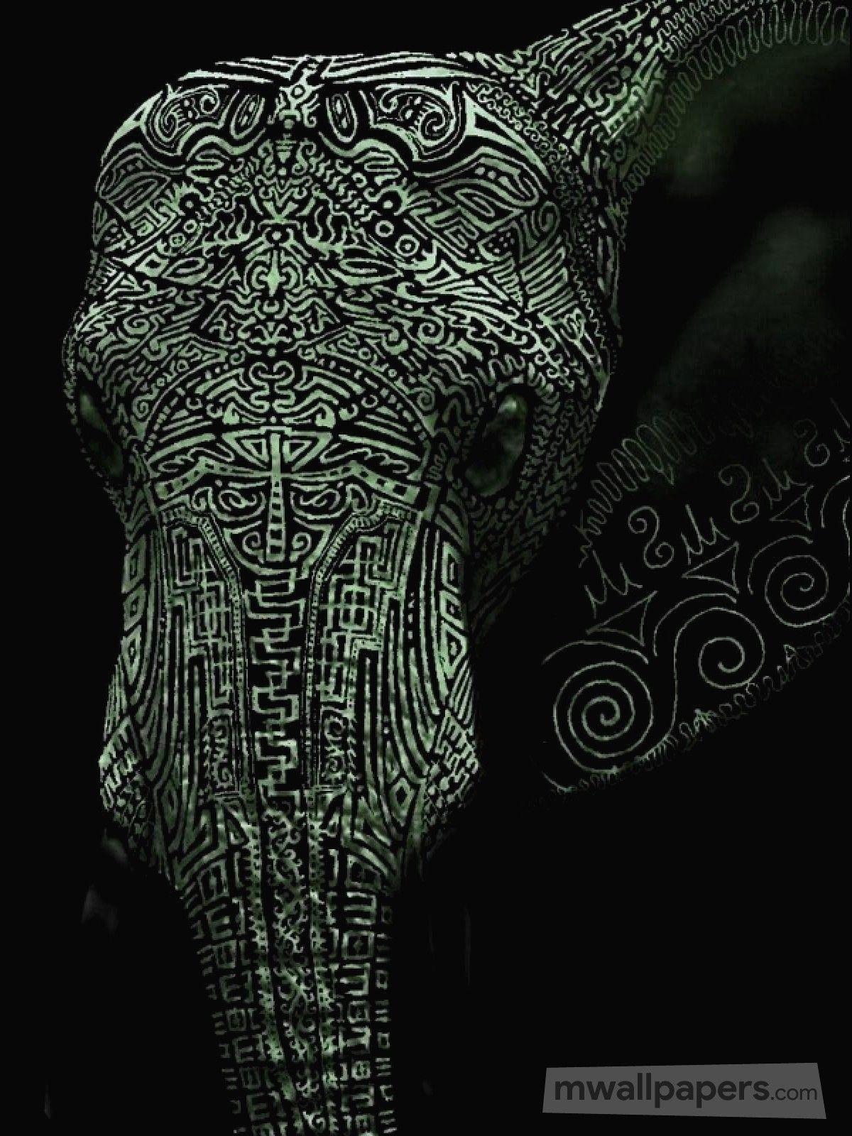 Lucky Elephant Wallpapers - Top Free Lucky Elephant Backgrounds ...
