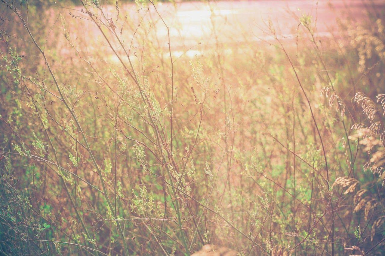 Tumblr Nature Desktop Wallpapers - Top Free Tumblr Nature Desktop ...