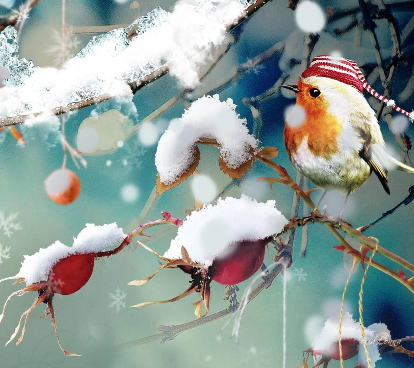 Birds in Snow Wallpapers - Top Free Birds in Snow Backgrounds ...
