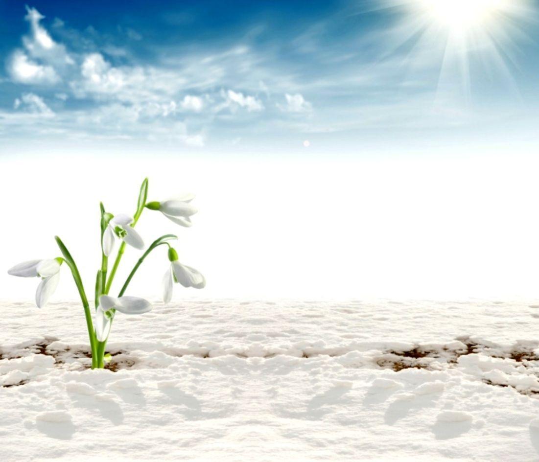 Spring Snow Wallpapers - Top Free Spring Snow Backgrounds - WallpaperAccess