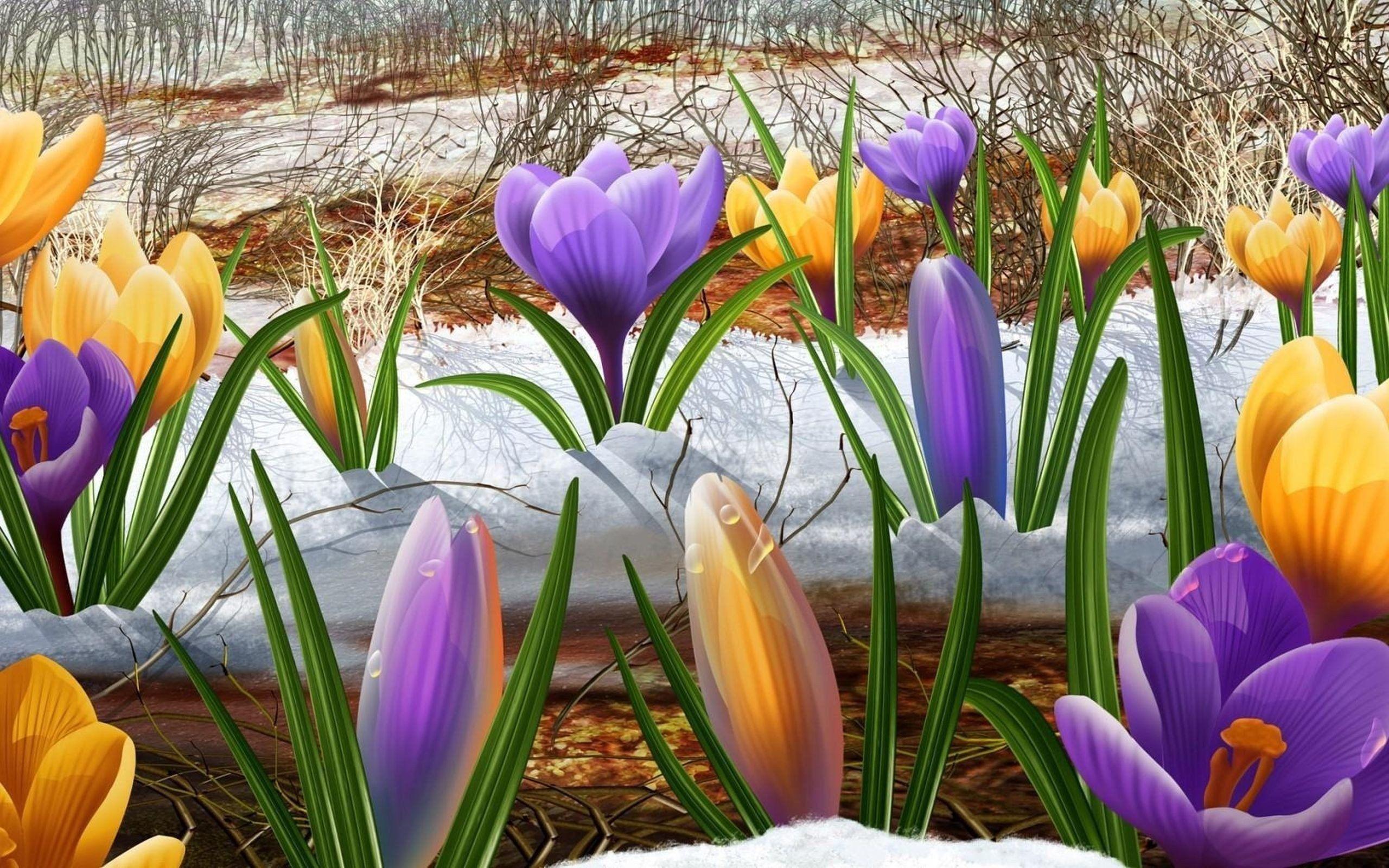 Flowers in Snow Desktop Wallpapers - Top Free Flowers in Snow Desktop ...
