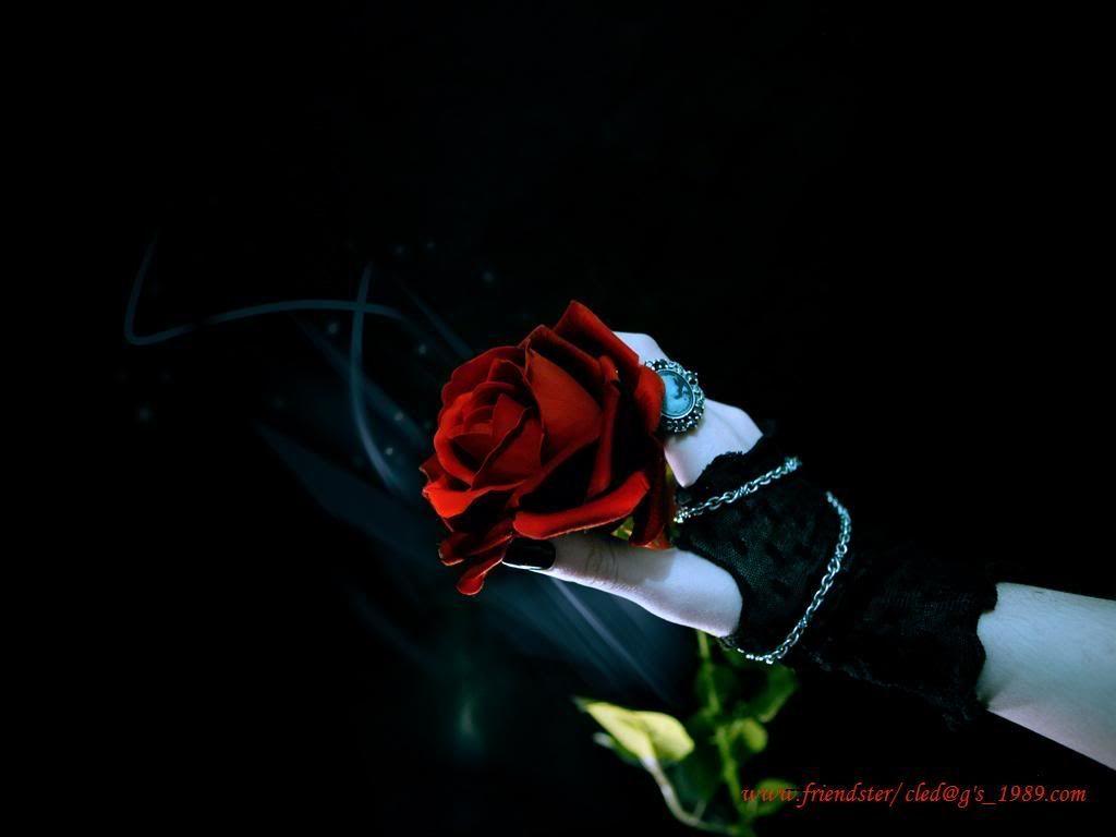 Gothic Roses Wallpapers - Top Free Gothic Roses Backgrounds - WallpaperAccess