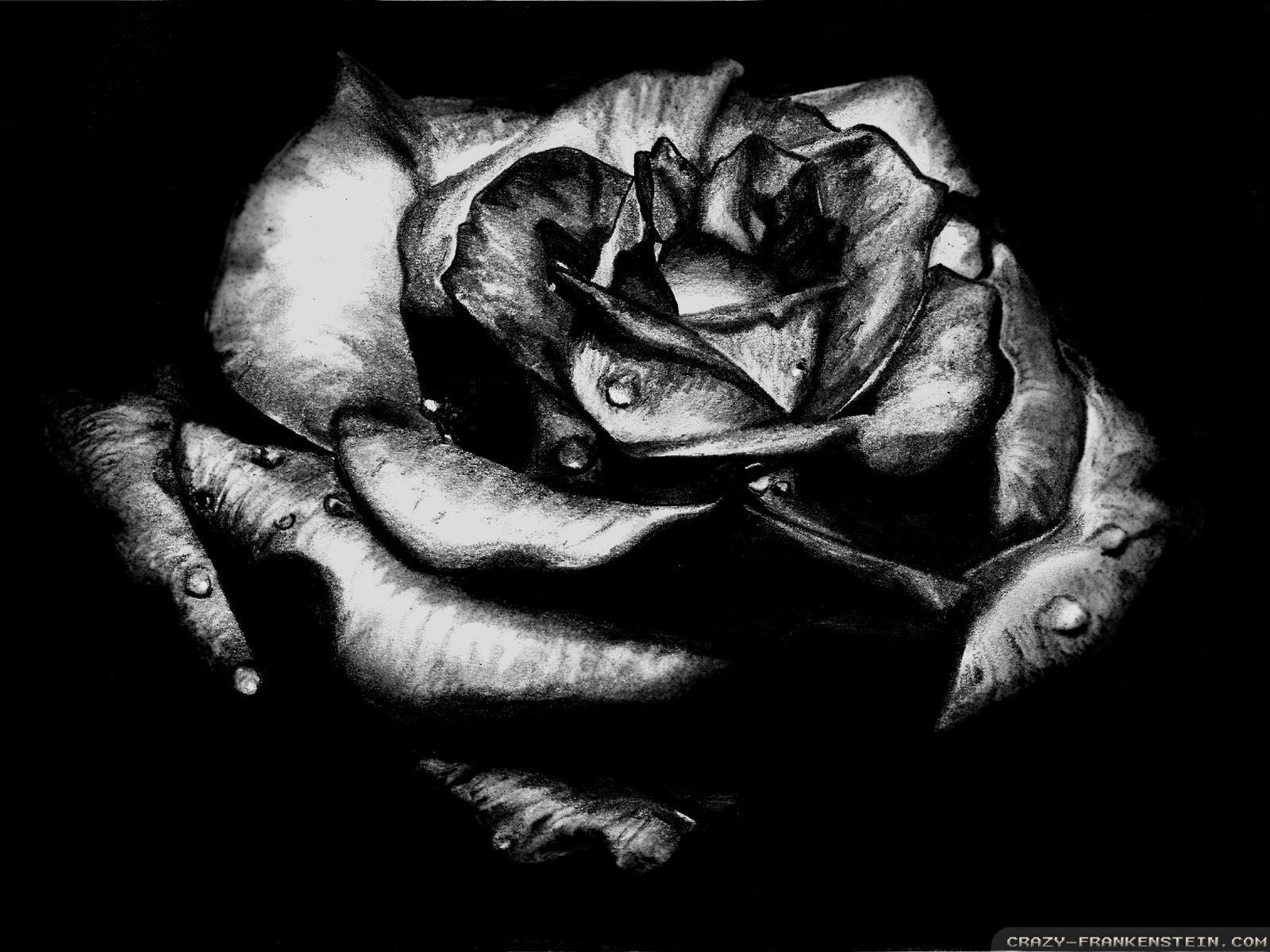 Gothic Roses Wallpapers - Top Free Gothic Roses Backgrounds ...