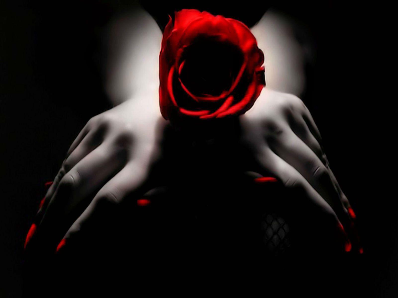 Gothic Roses HD Wallpapers - Top Free Gothic Roses HD Backgrounds ...
