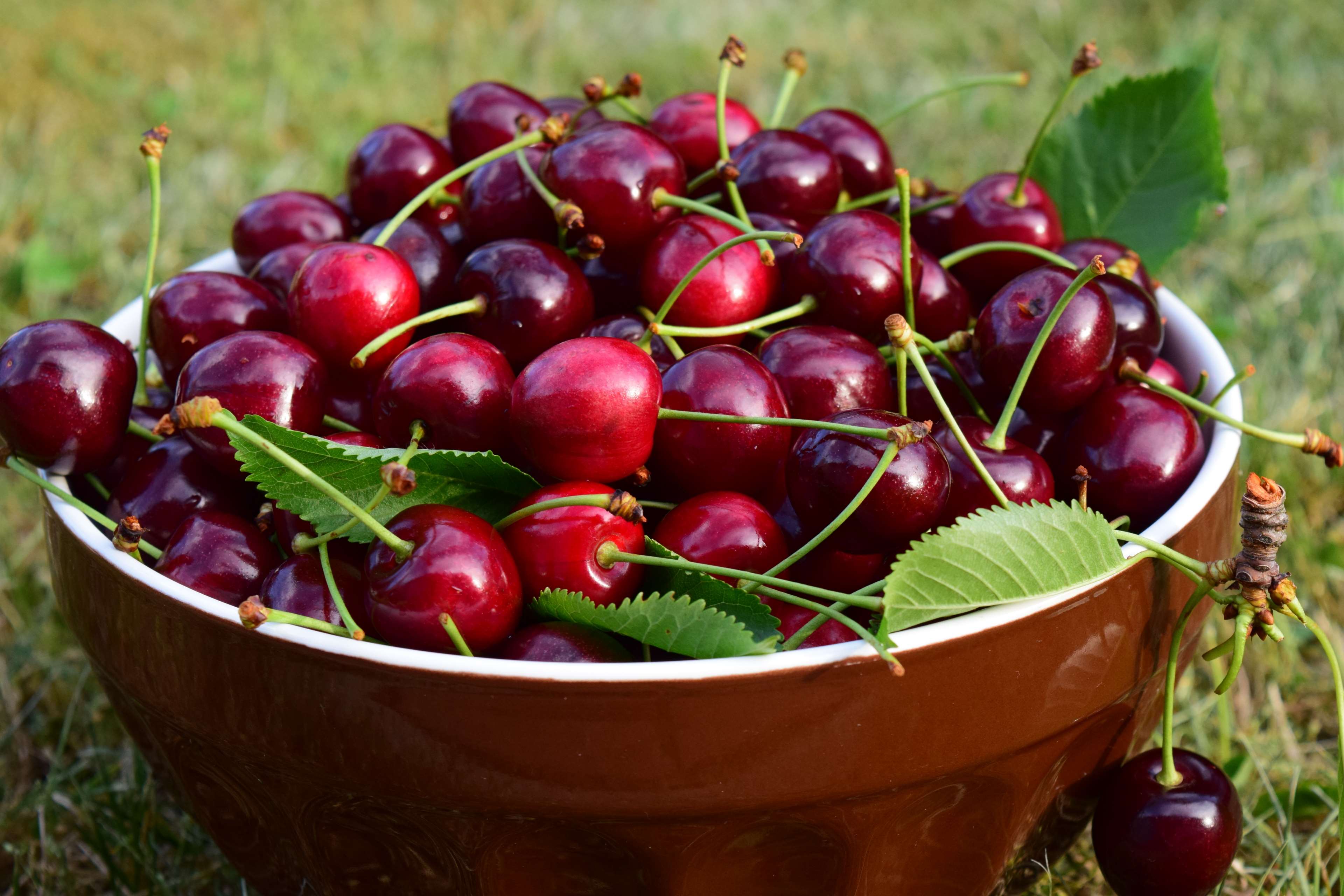 Cherries 4K Wallpapers - Top Free Cherries 4K Backgrounds - WallpaperAccess