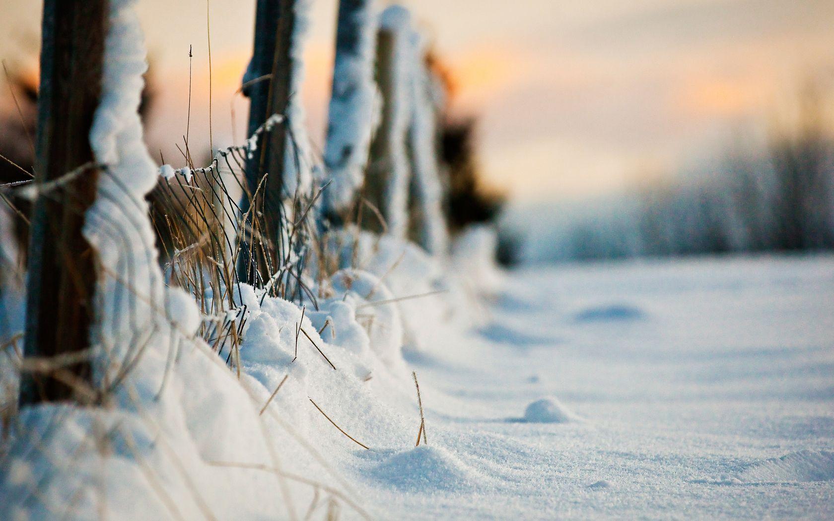 Winter Fence Wallpapers - Top Free Winter Fence Backgrounds ...