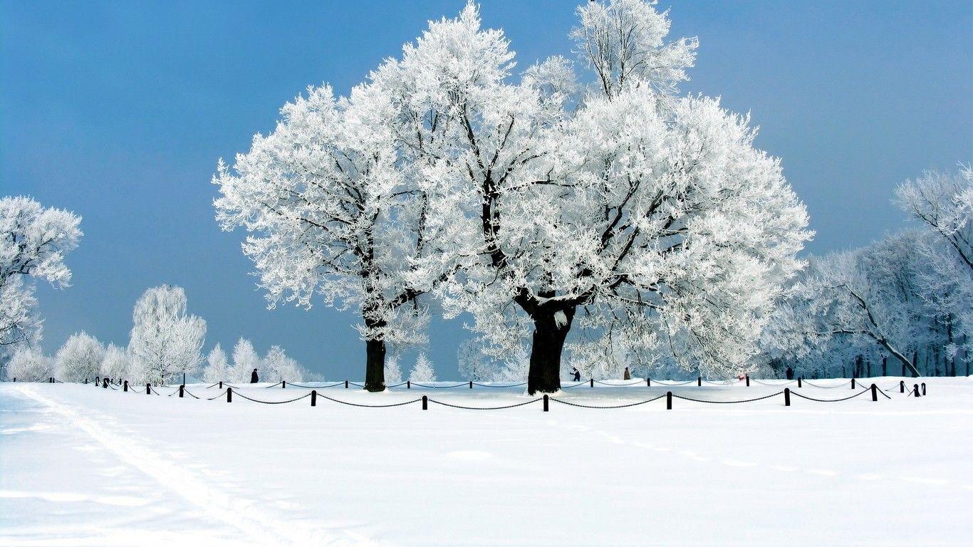 Winter Fence Wallpapers - Top Free Winter Fence Backgrounds ...