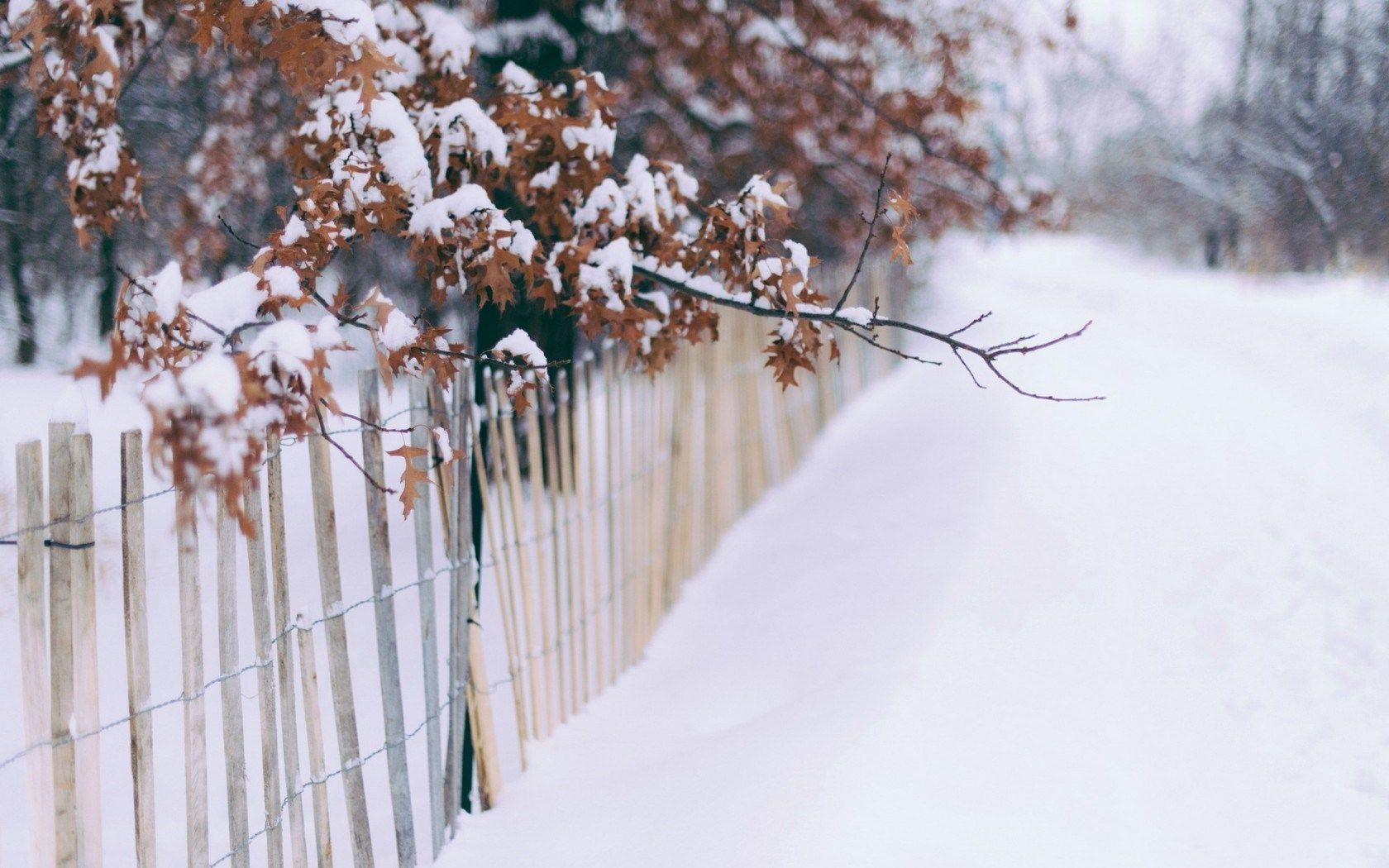 Winter Fence Wallpapers - Top Free Winter Fence Backgrounds ...