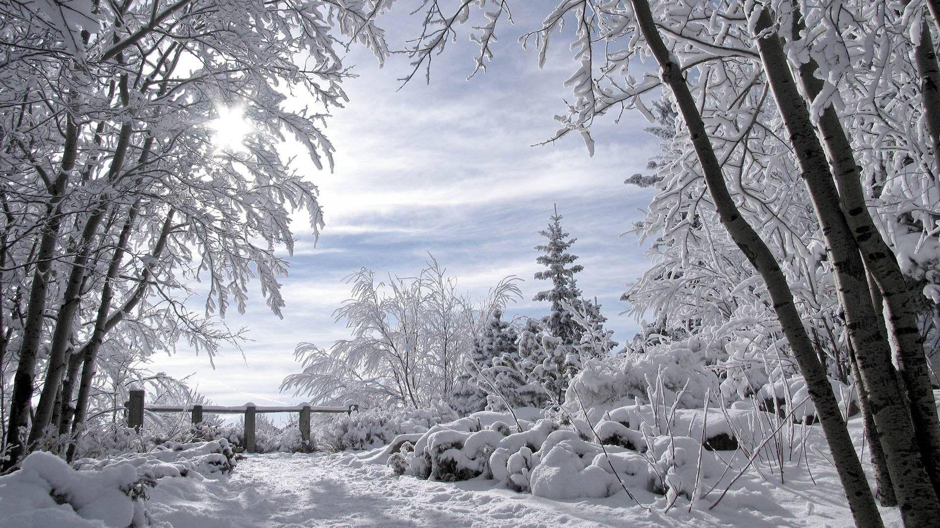 Winter Fence Wallpapers - Top Free Winter Fence Backgrounds ...