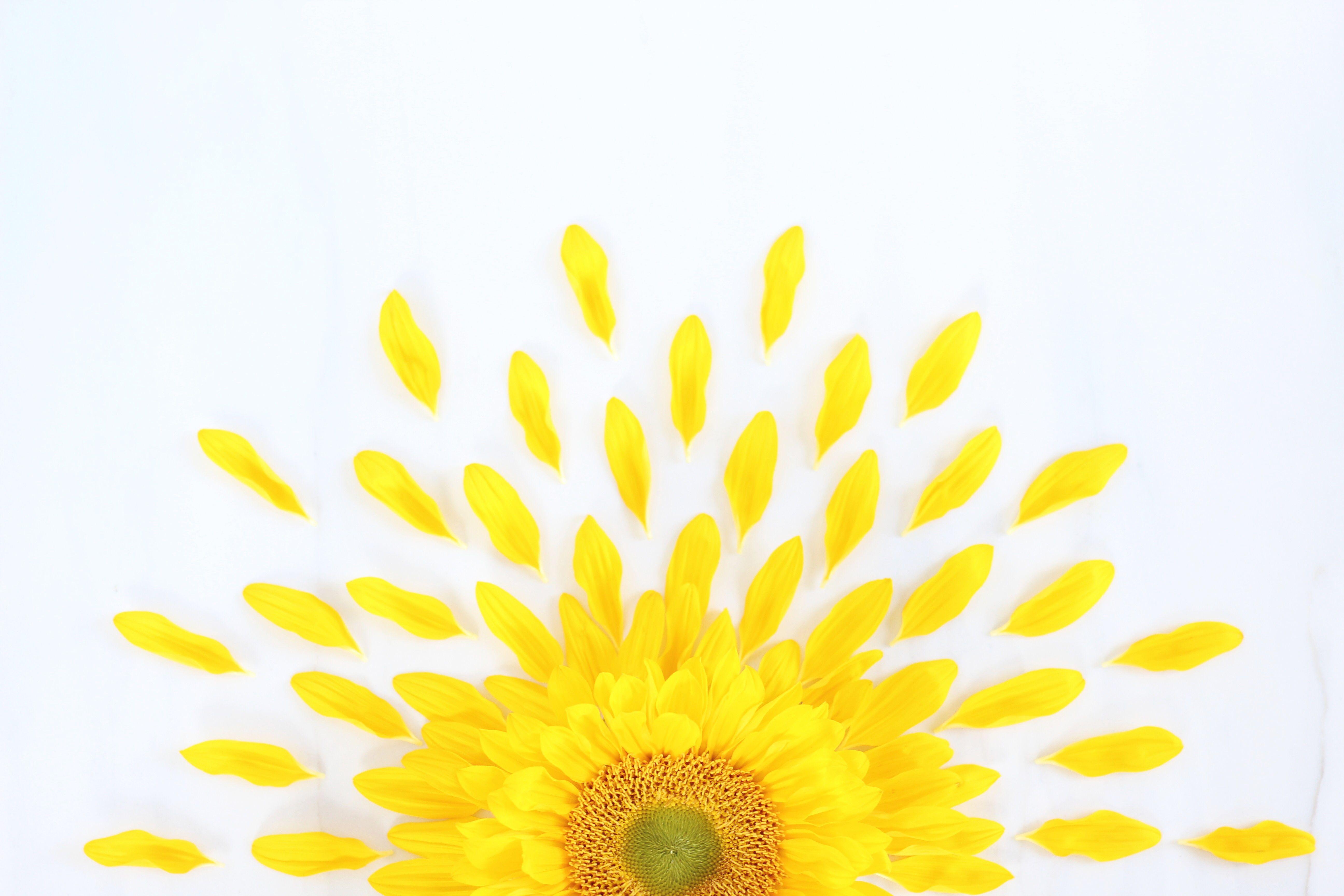 Yellow Tech Wallpapers - Top Free Yellow Tech Backgrounds - WallpaperAccess