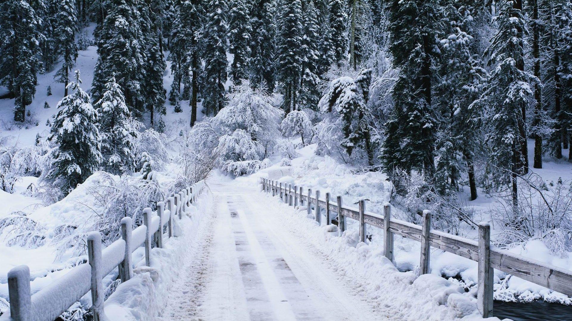 Winter Fence Wallpapers - Top Free Winter Fence Backgrounds ...