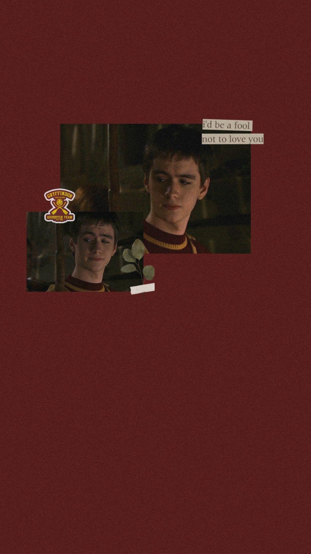 Oliver Wood Wallpapers - Top Free Oliver Wood Backgrounds - WallpaperAccess