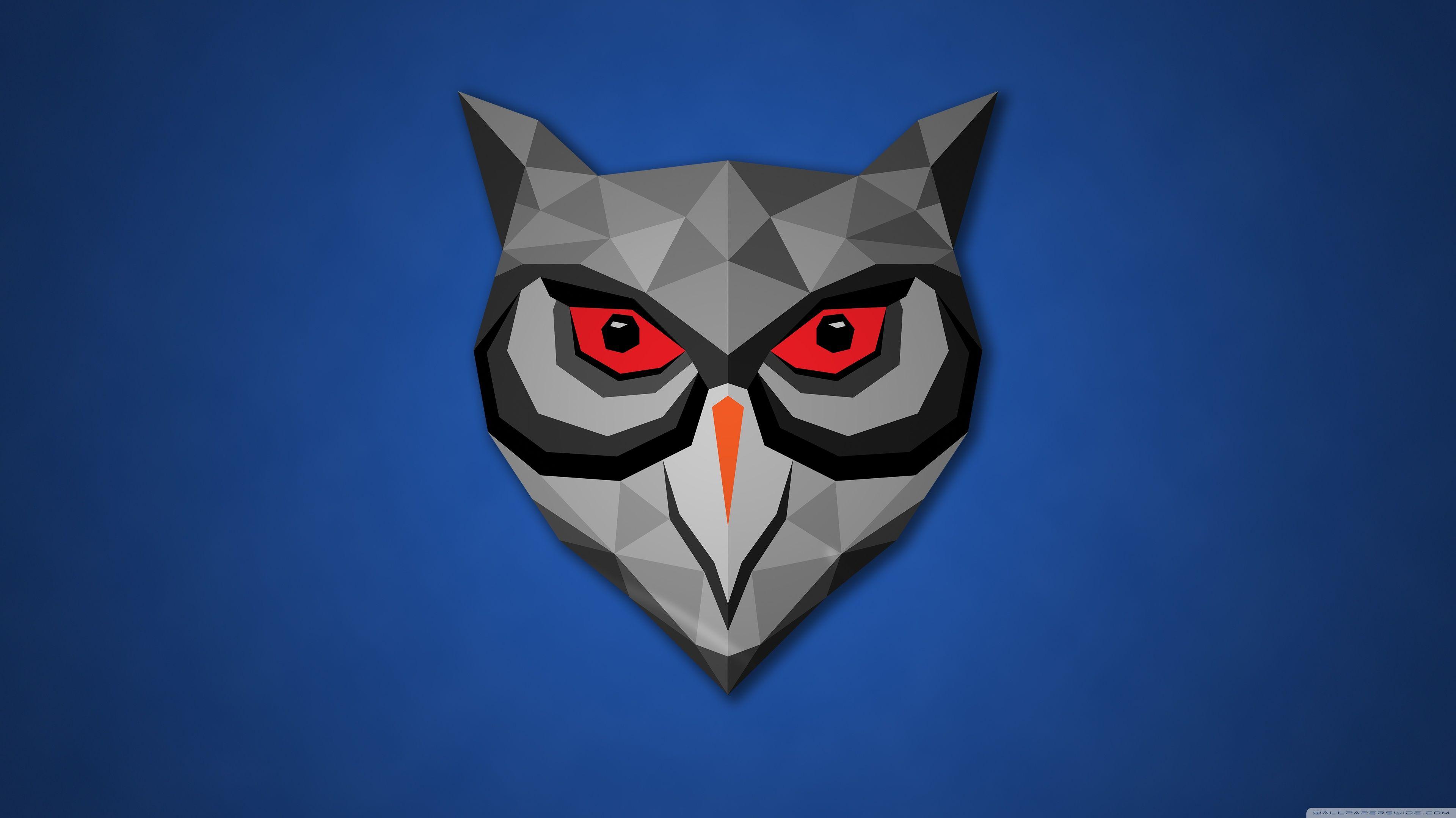 Owl 4k Wallpapers - Top Free Owl 4k Backgrounds - WallpaperAccess