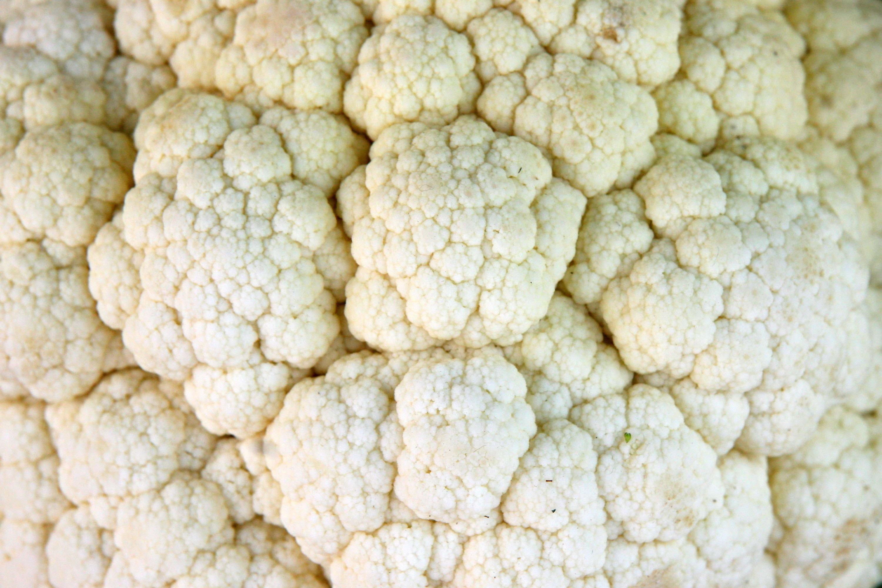 Cauliflower Wallpapers - Top Free Cauliflower Backgrounds - WallpaperAccess