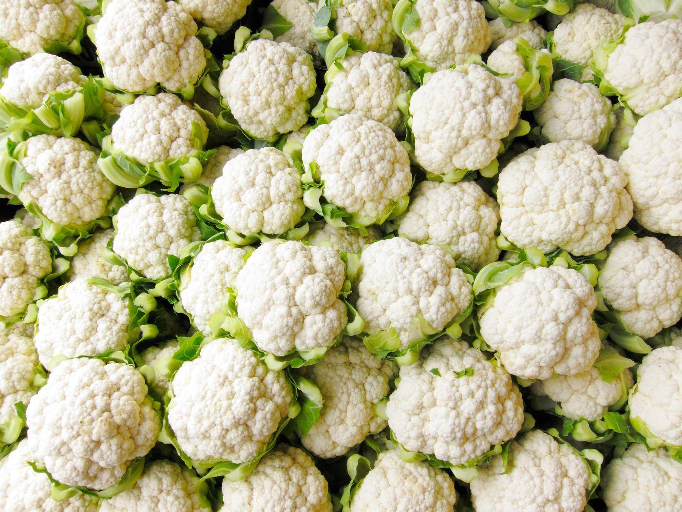 Cauliflower Wallpapers - Top Free Cauliflower Backgrounds - WallpaperAccess