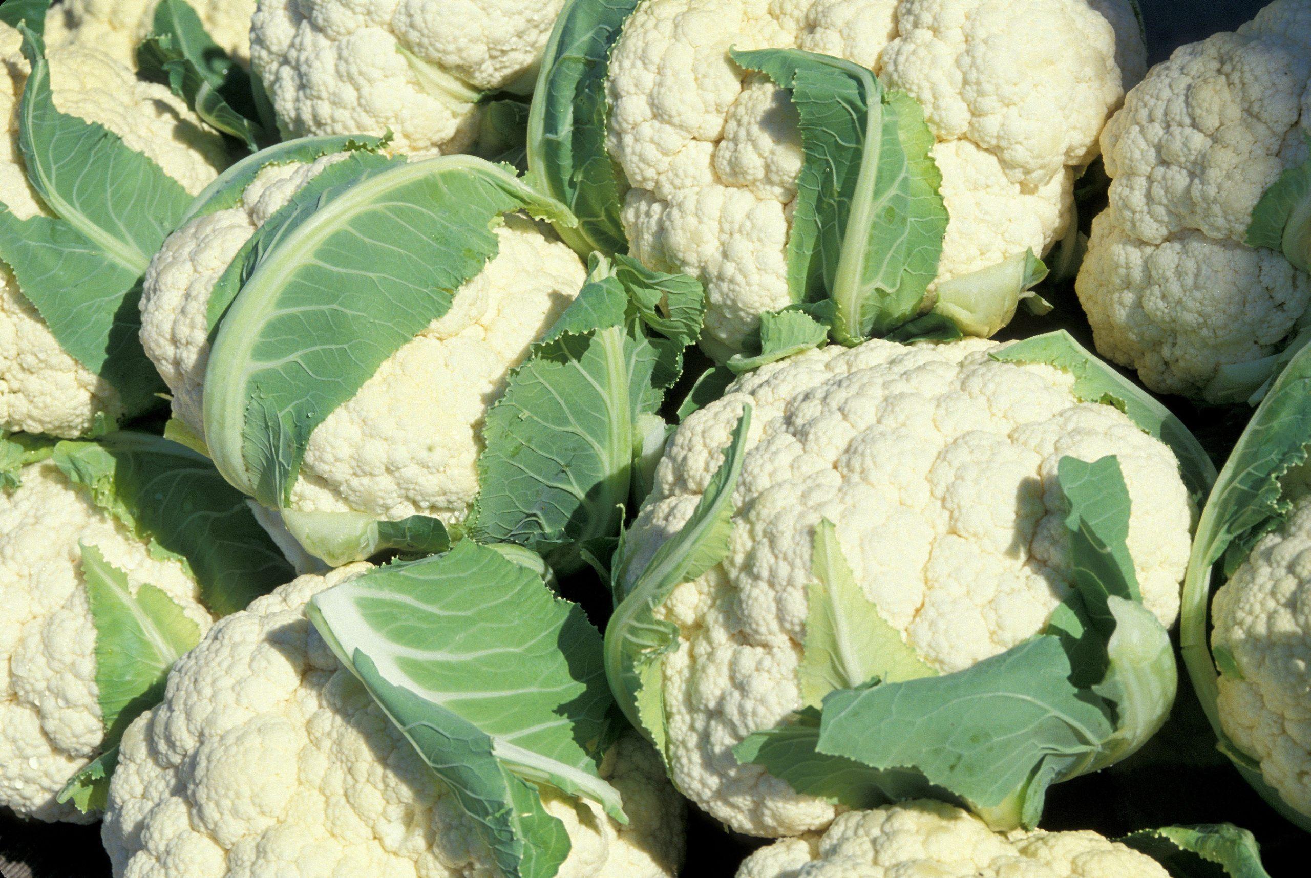 Cauliflower Wallpapers - Top Free Cauliflower Backgrounds - WallpaperAccess