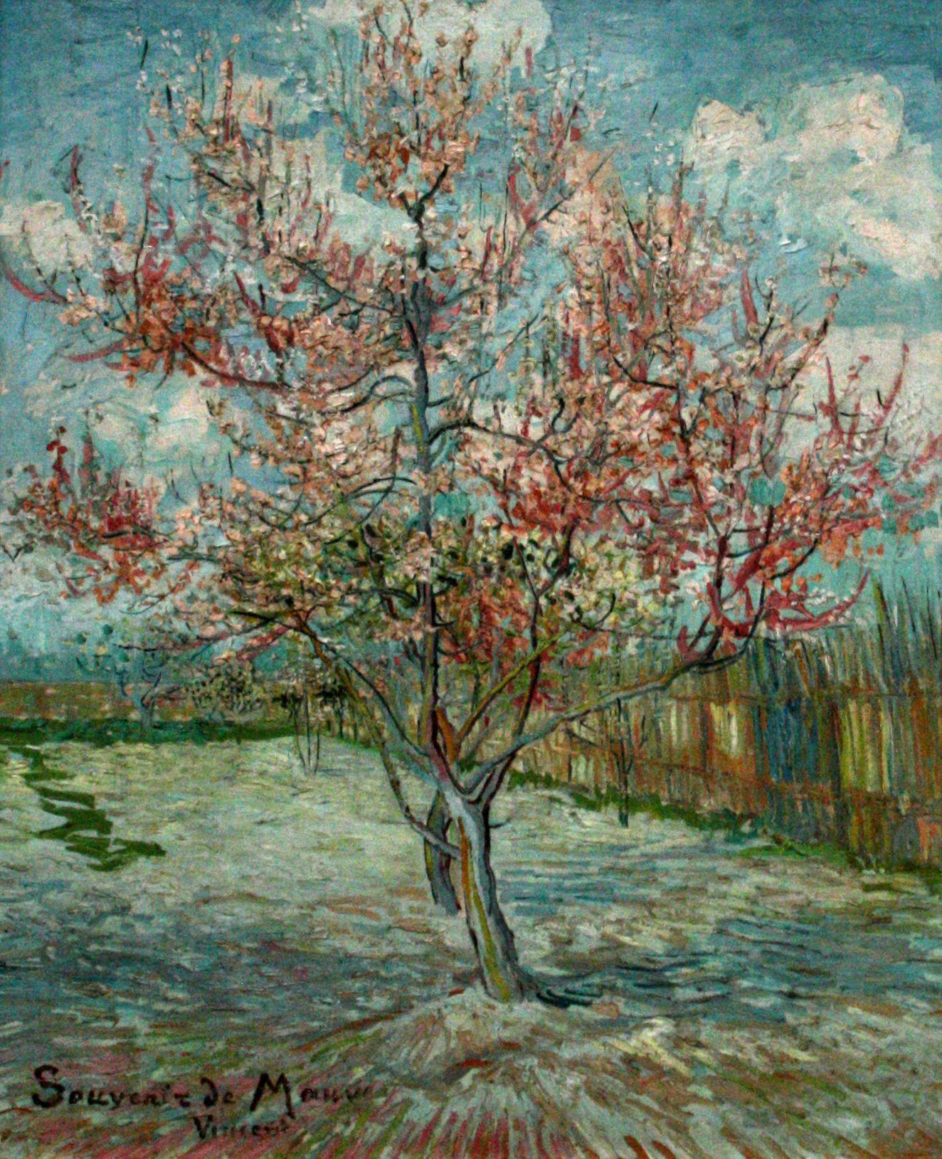 Van Gogh Tree Wallpapers - Top Free Van Gogh Tree Backgrounds ...