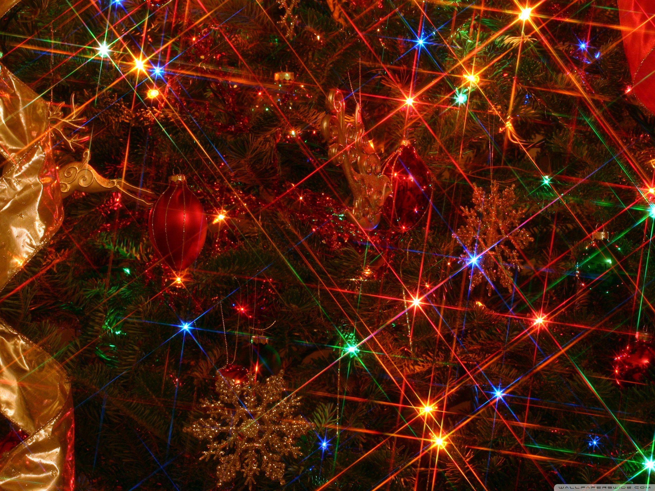 Christmas Tree Lights Wallpapers - Top Free Christmas Tree Lights ...