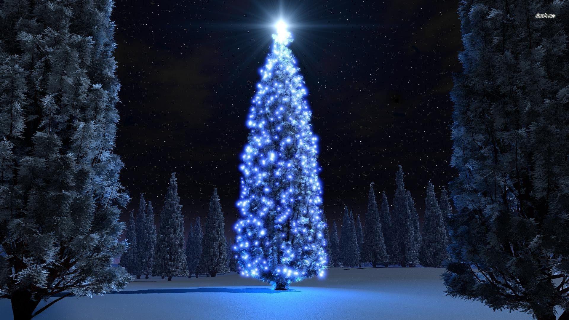 Christmas Tree Lights Wallpapers - Top Free Christmas Tree Lights ...