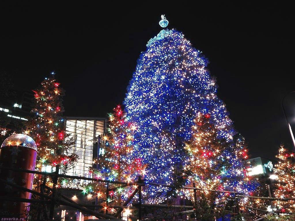 Tokyo Christmas Wallpapers - Top Free Tokyo Christmas Backgrounds ...