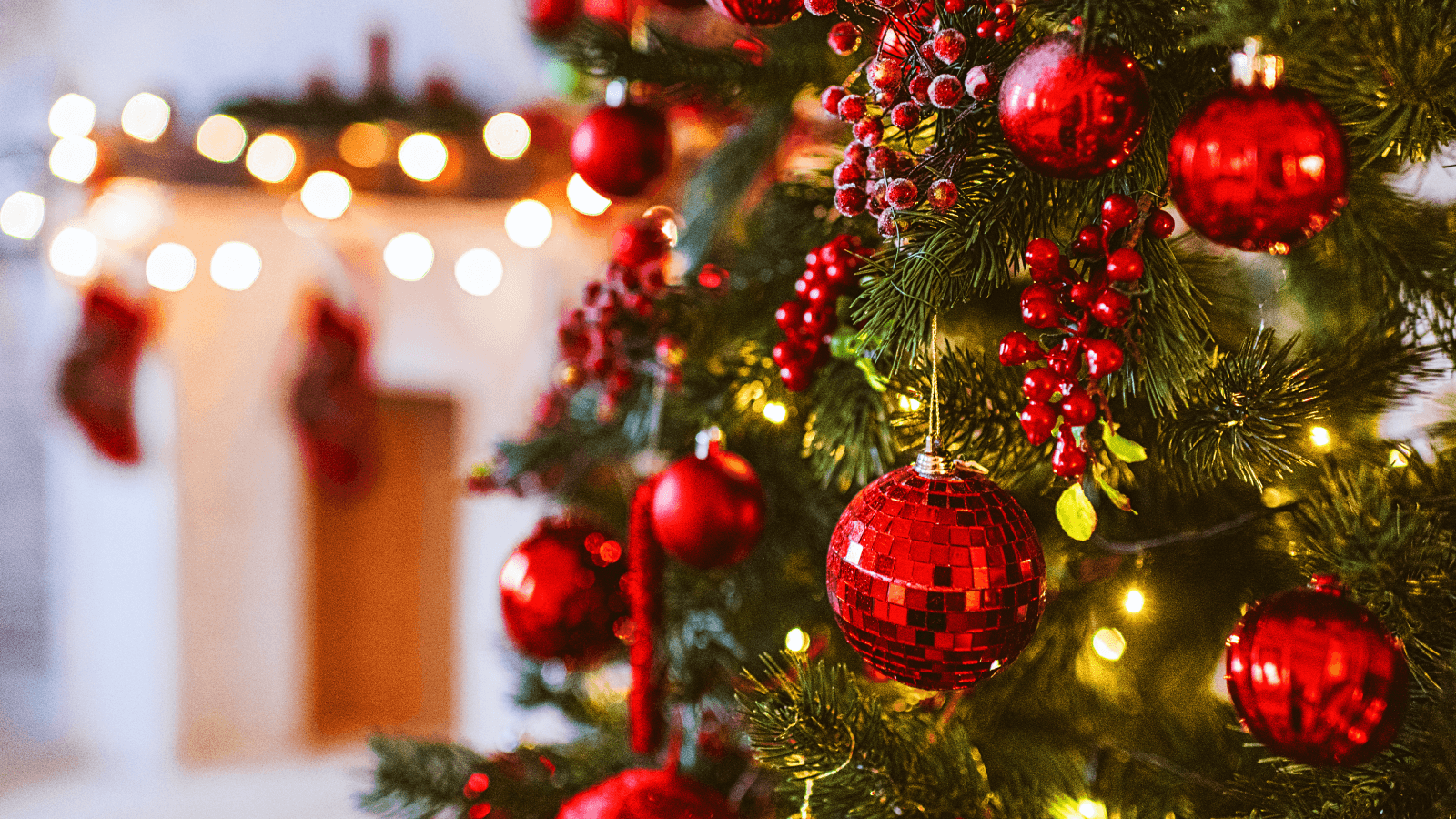 Christmas Tree Red Wallpapers - Top Free Christmas Tree Red Backgrounds ...